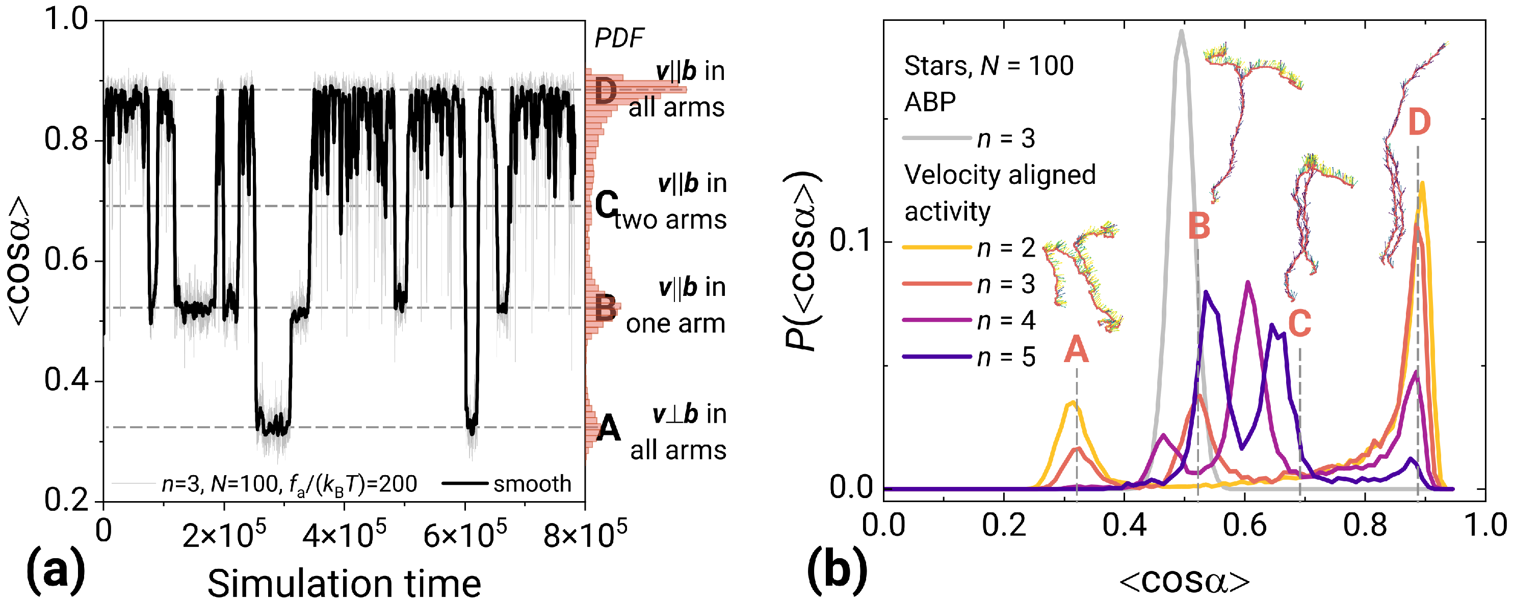 Polymer Systems with Correlated Activity: Stars Versus Linear Chains