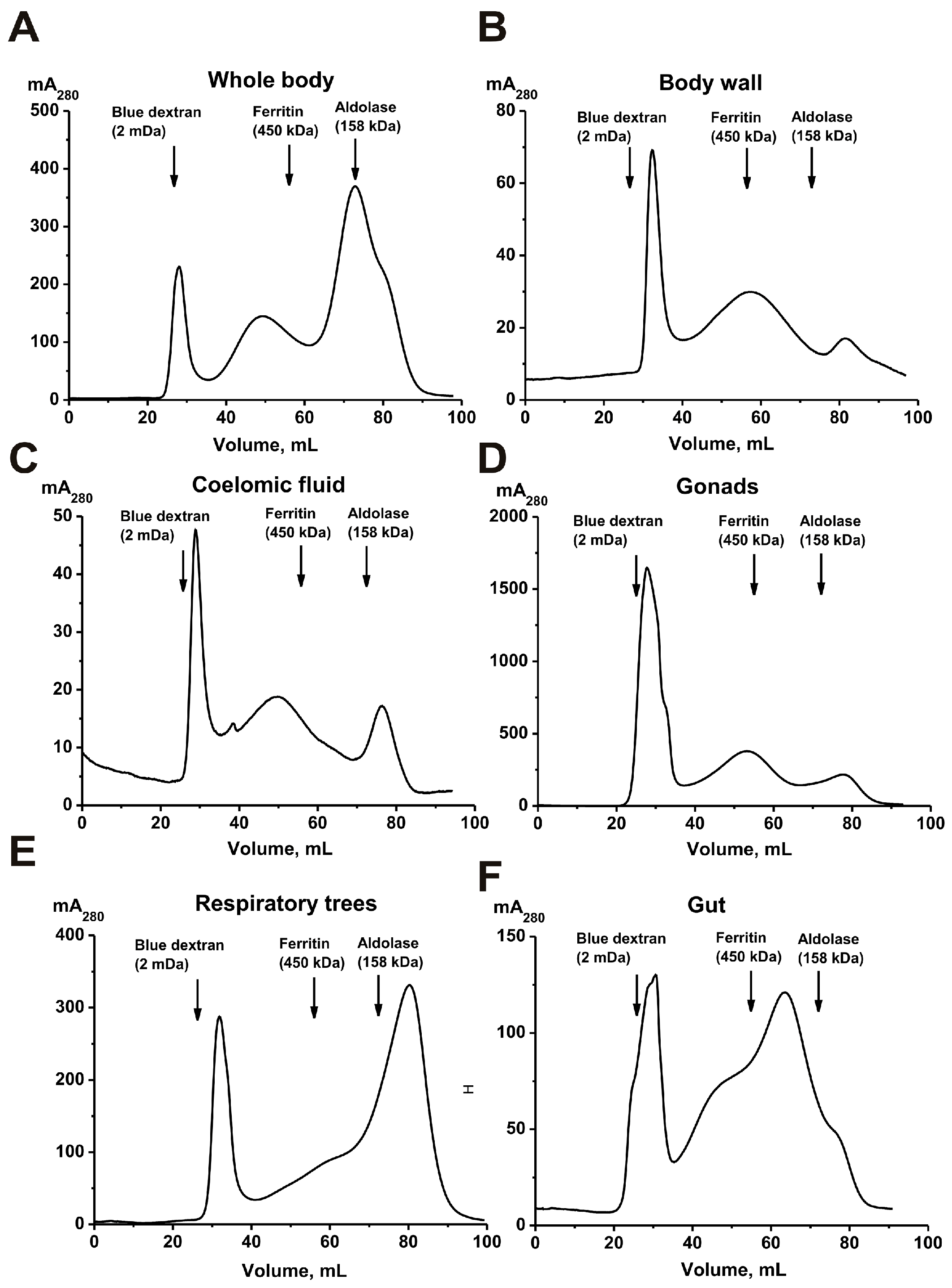 Very Stable High-Molecular-Mass Multiprotein Complexes in Different ...