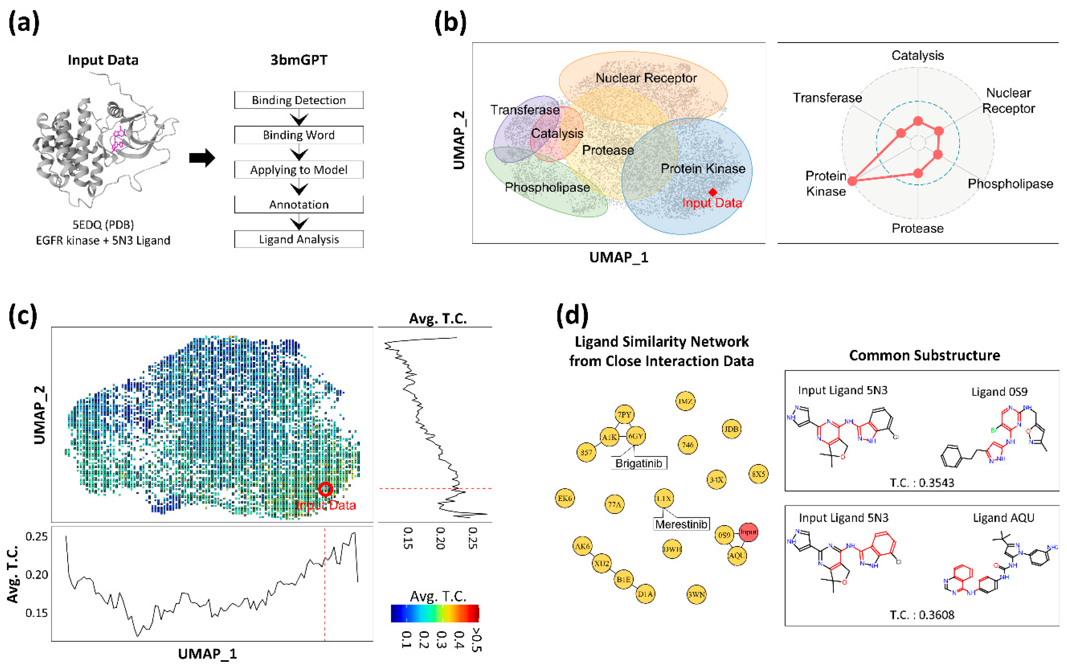 Systematic Exploration of Small-Molecule Binding via a Large Language ...