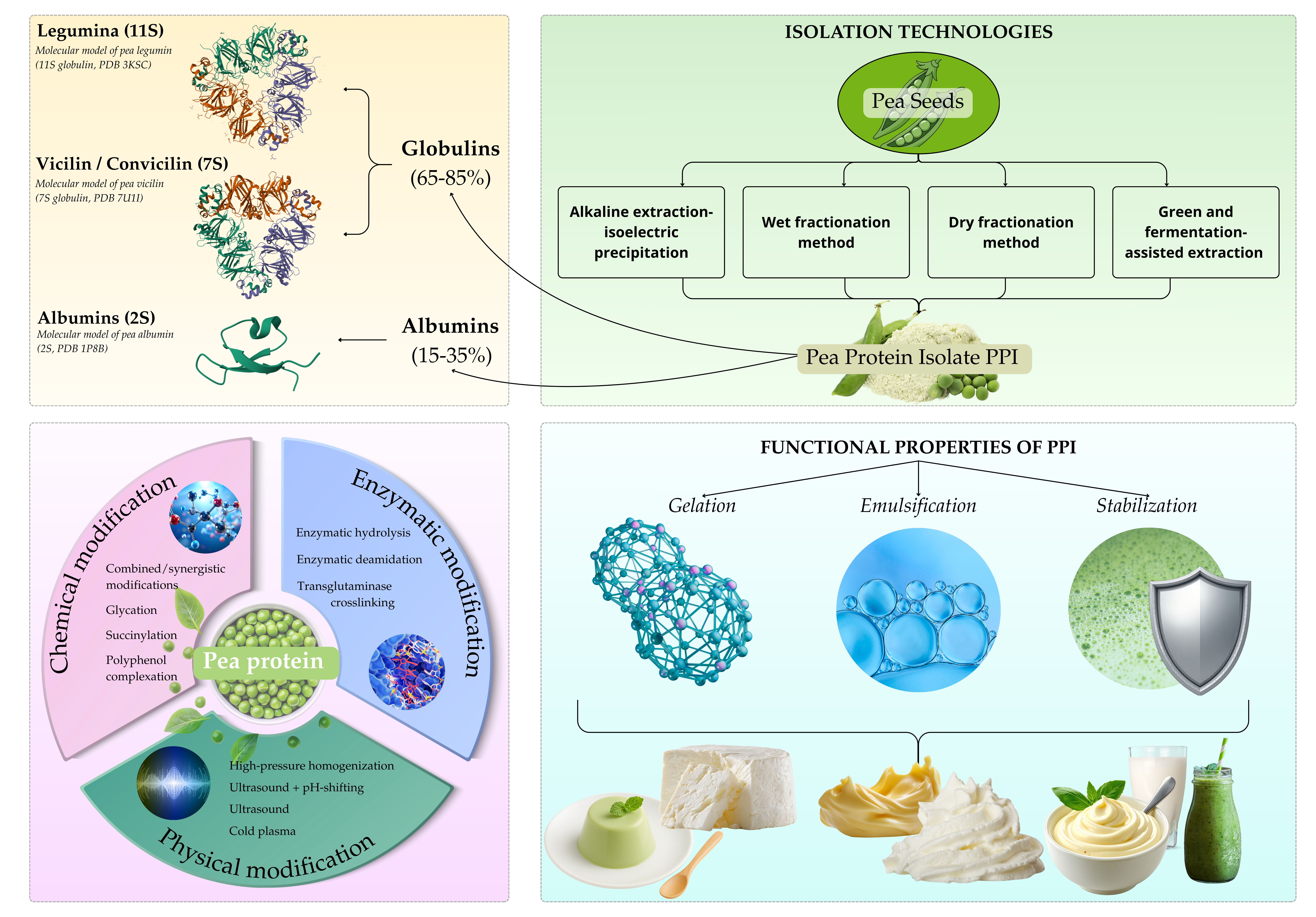 Pea Protein Isolates: From Extraction to Functionality