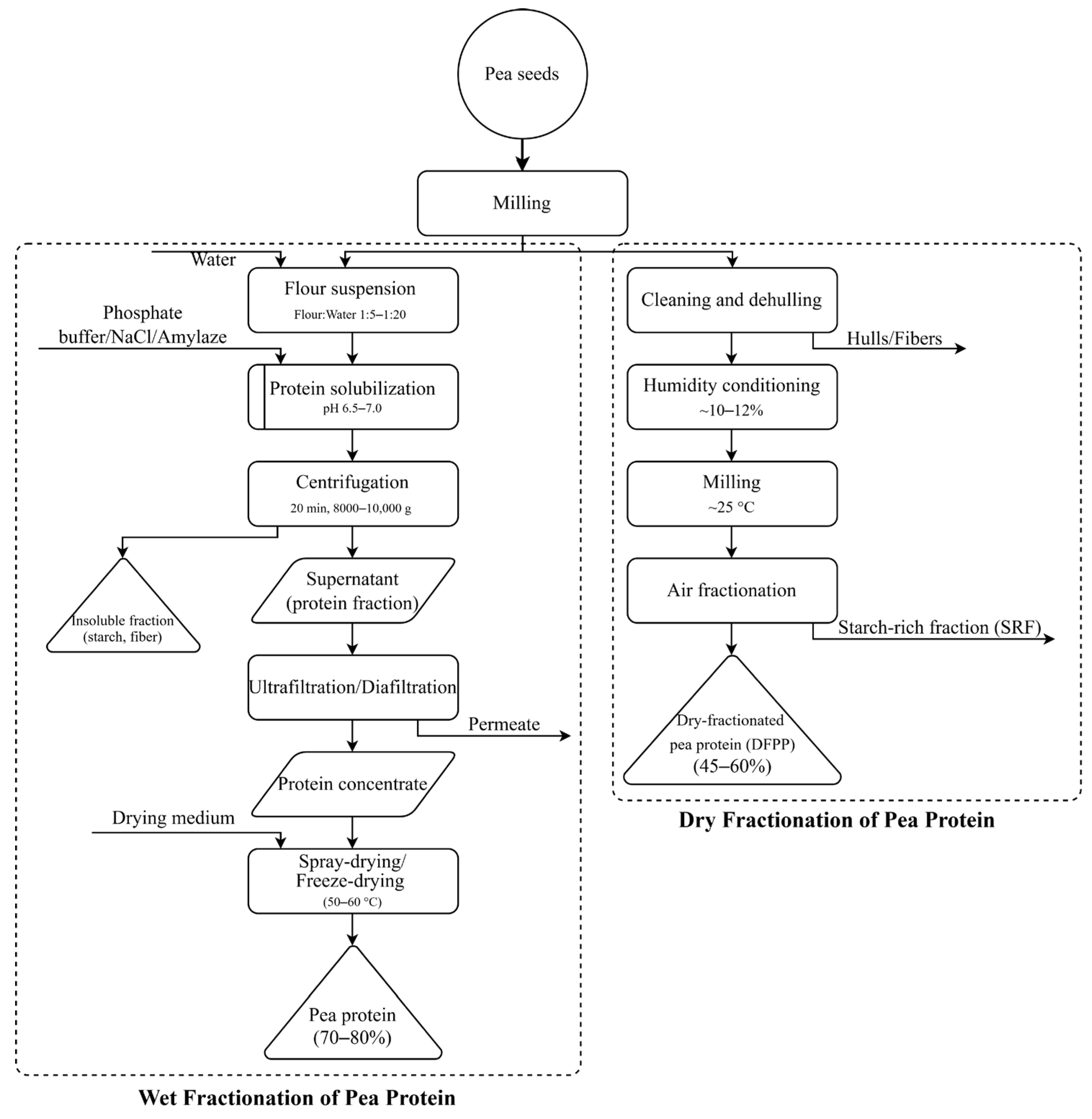Pea Protein Isolates: From Extraction to Functionality