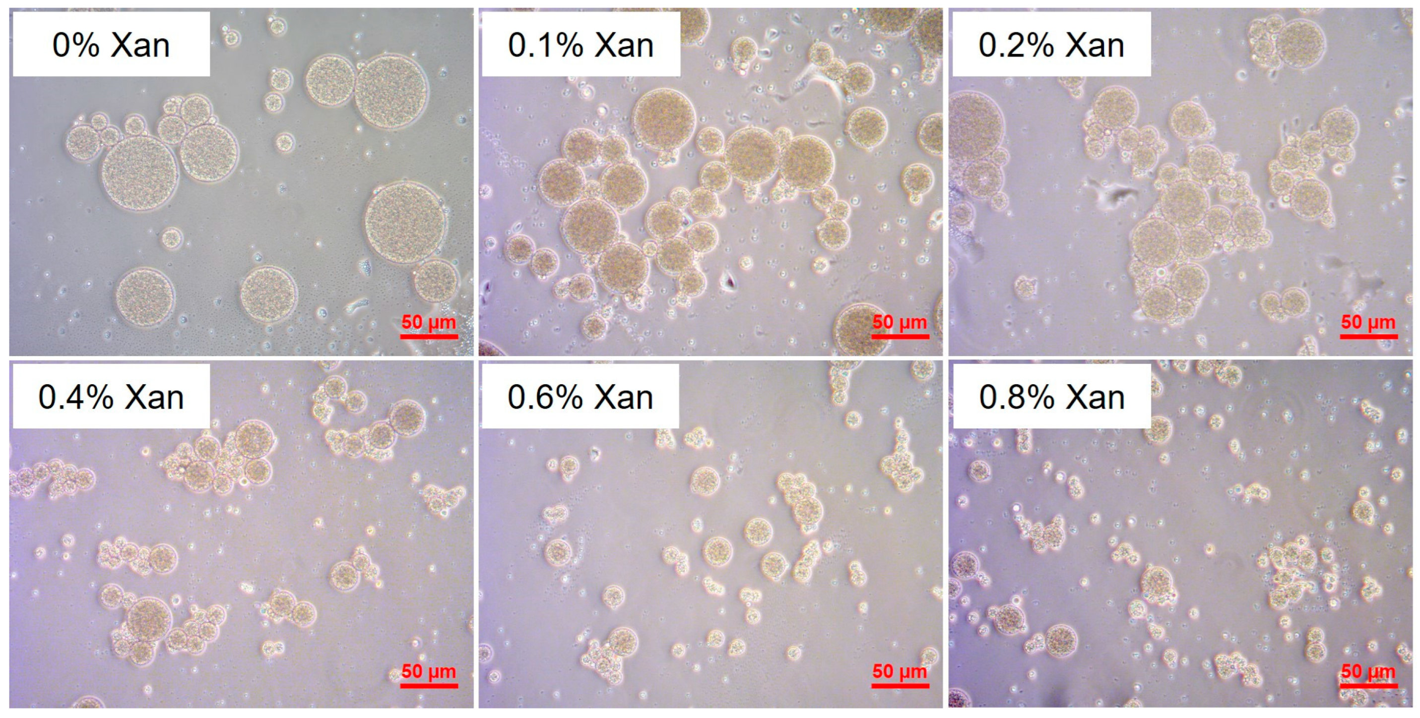 TD-NMR-Based Determination of the Entrapped Water Yield of Water-in-Oil ...