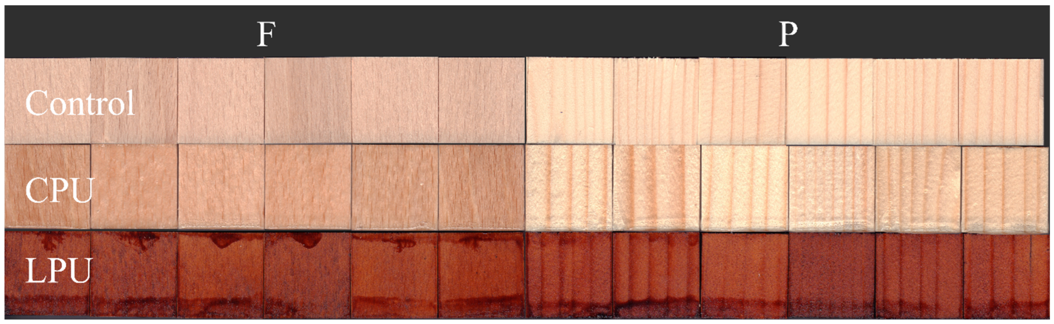 A New Lignin-Based Polyurethane Film for Wood: Decay, Artificial ...