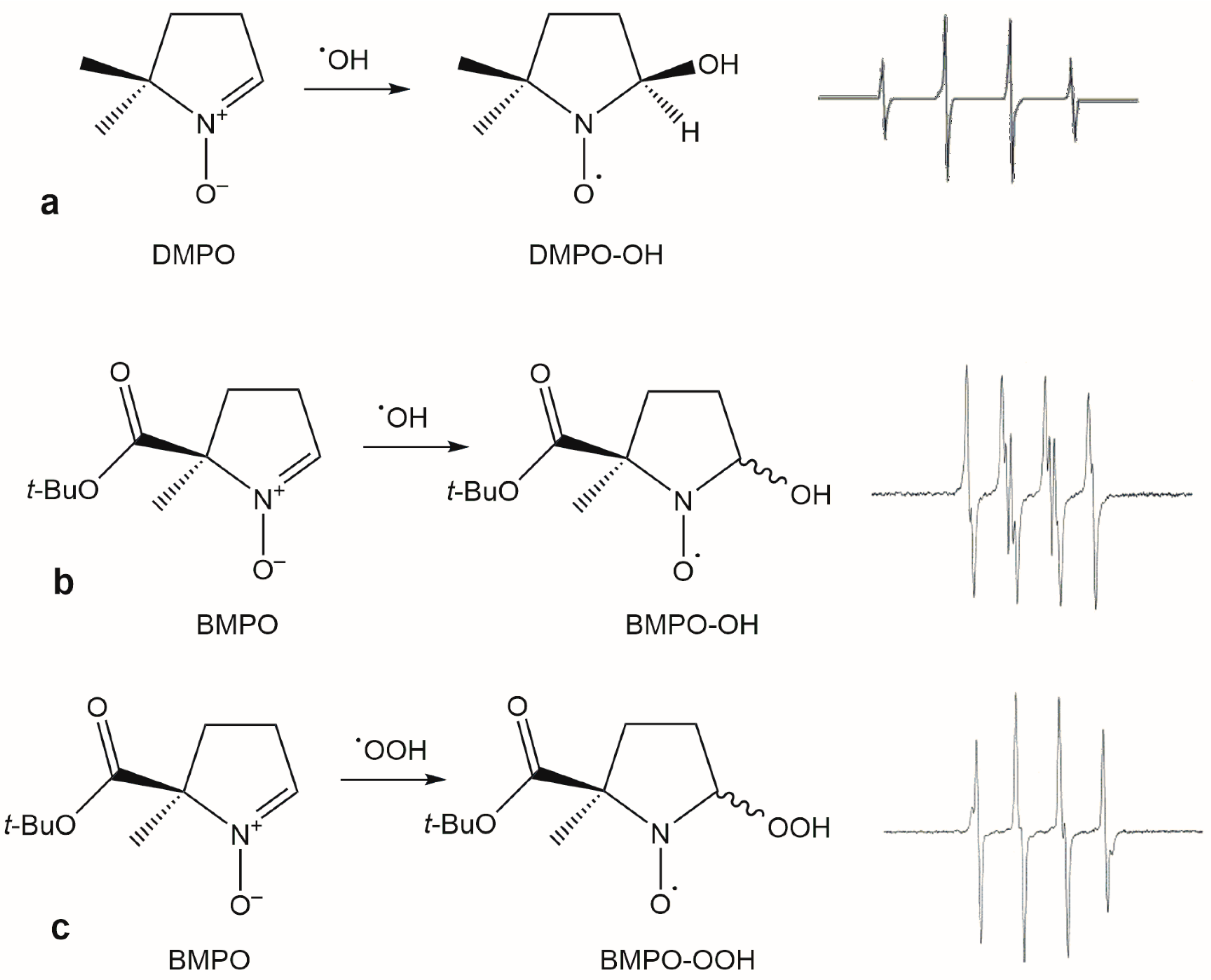 Electron Paramagnetic Resonance Spectroscopy to Evaluate the Oxidative ...
