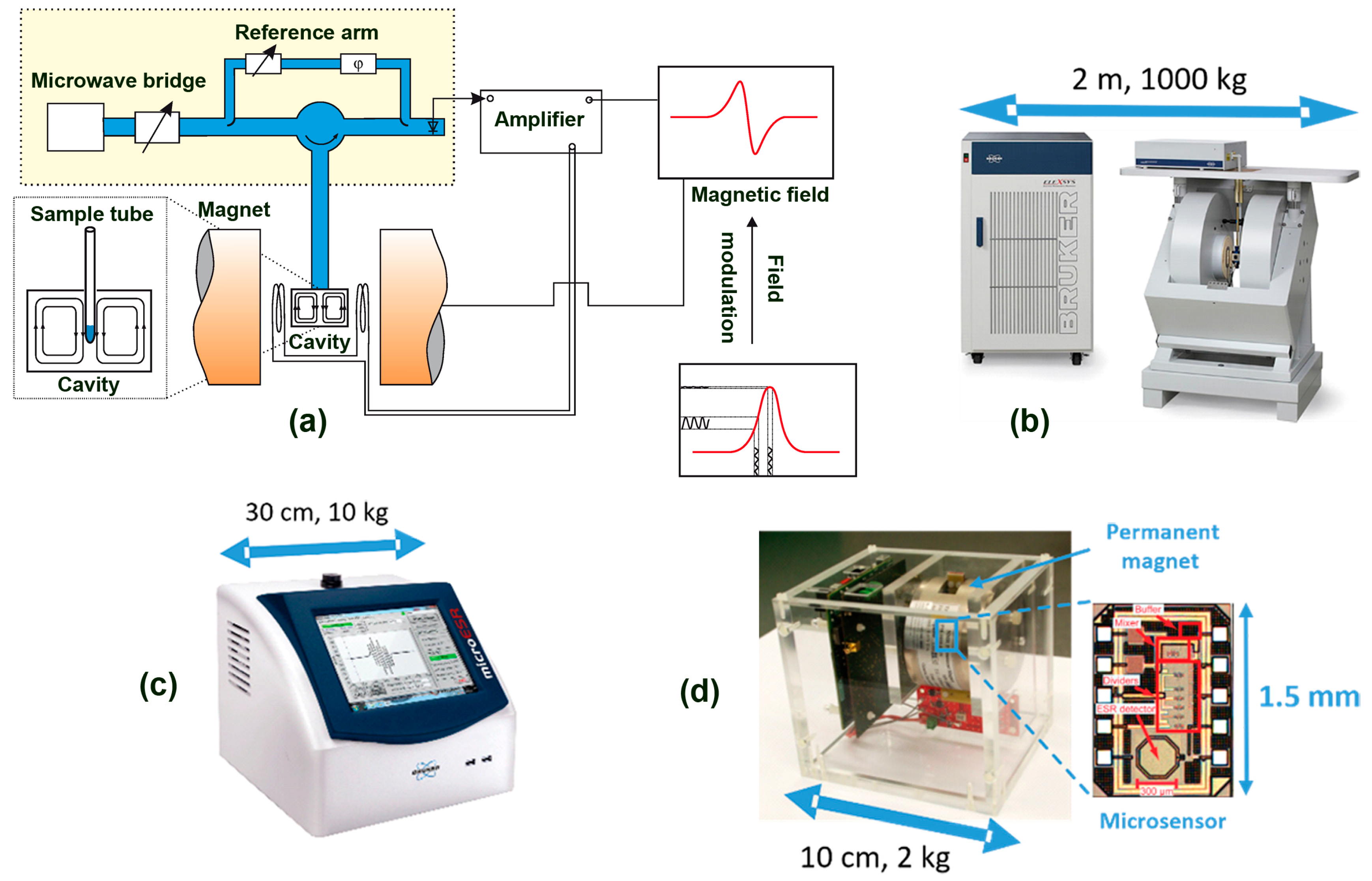 Electron Paramagnetic Resonance Spectroscopy to Evaluate the Oxidative ...