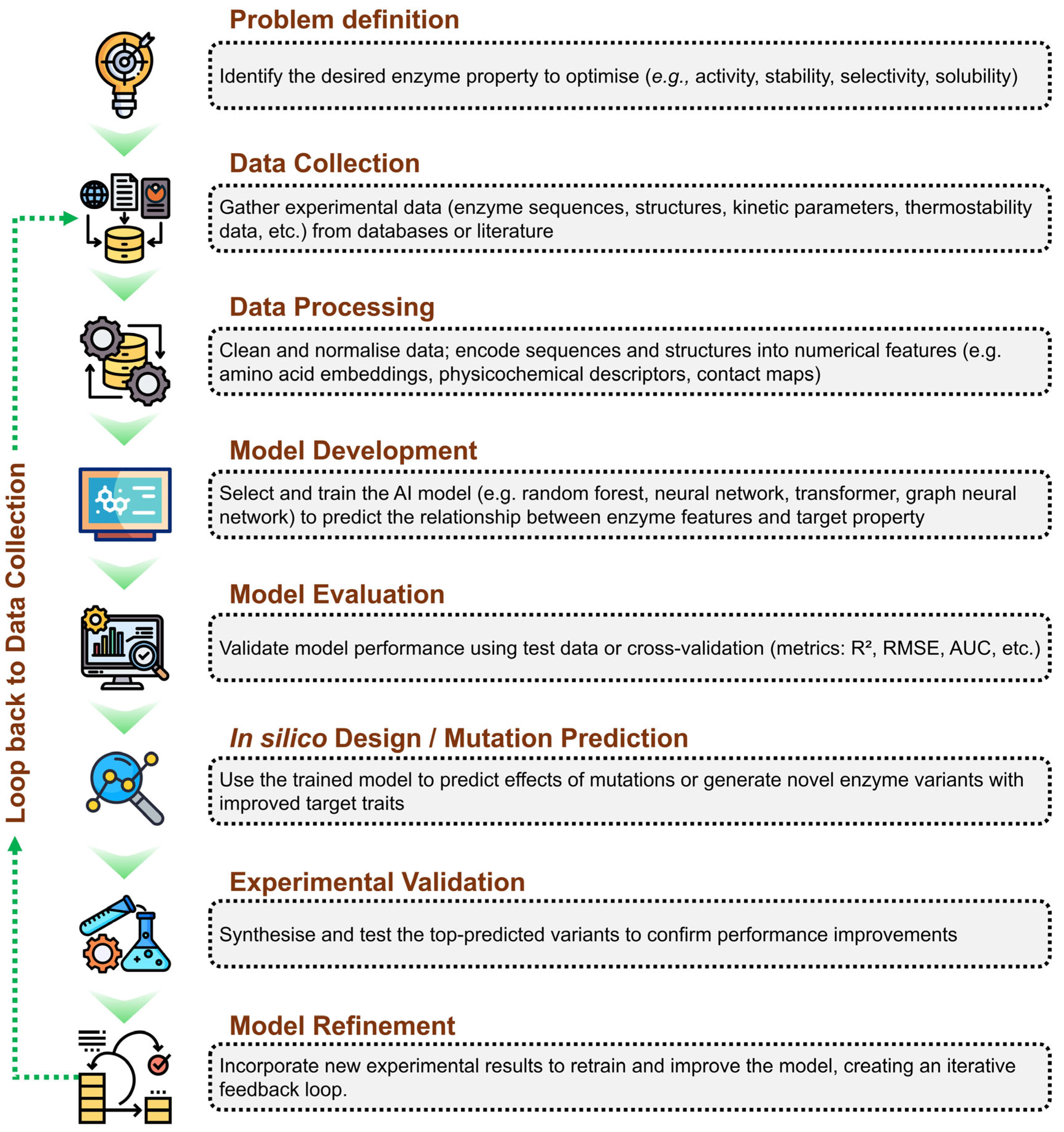 AI-Driven Enzyme Engineering: Emerging Models and Next-Generation ...