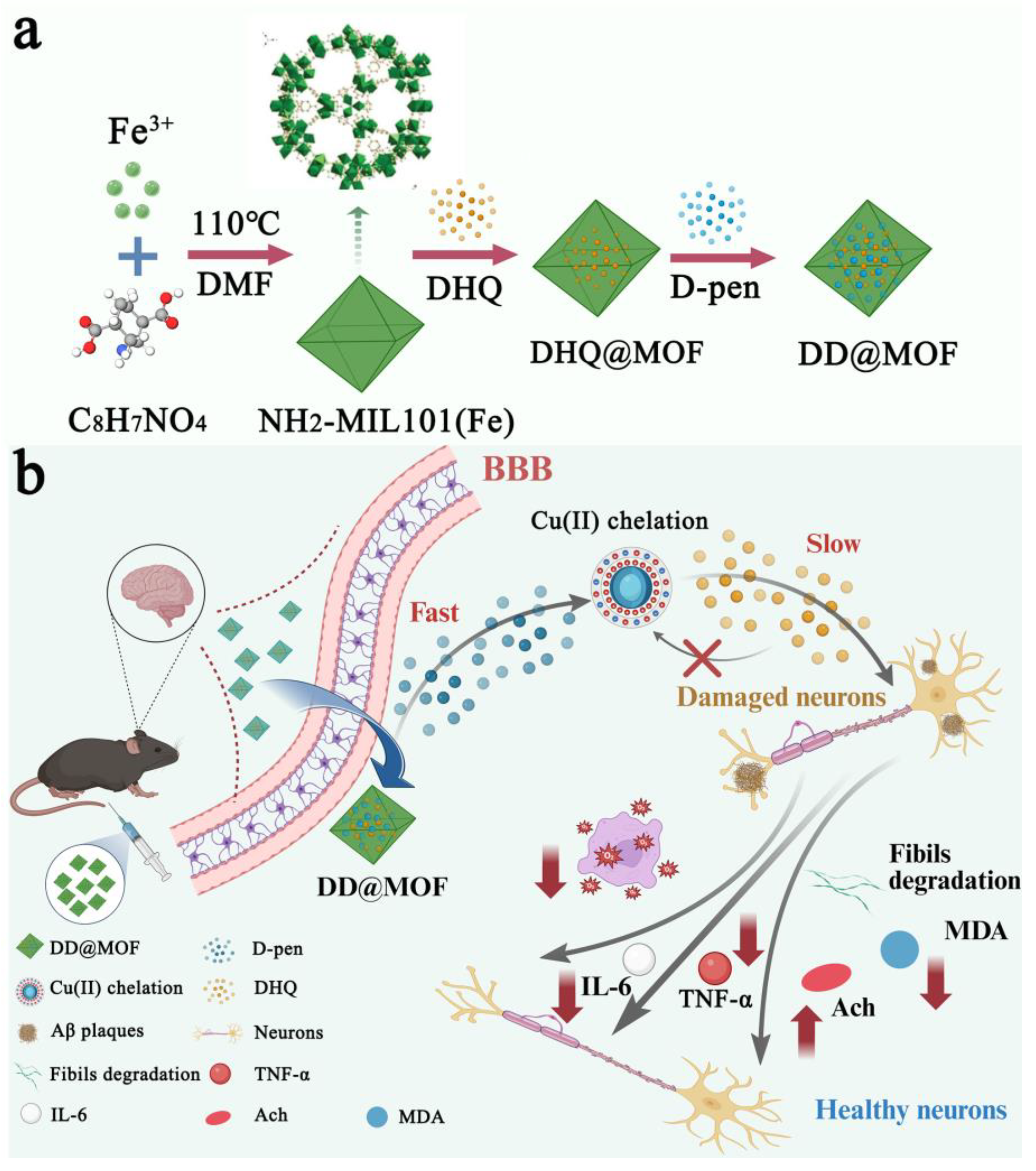 D-Penicillamine/Dihydroquercetin Dual-Loaded Metal–Organic Framework as ...