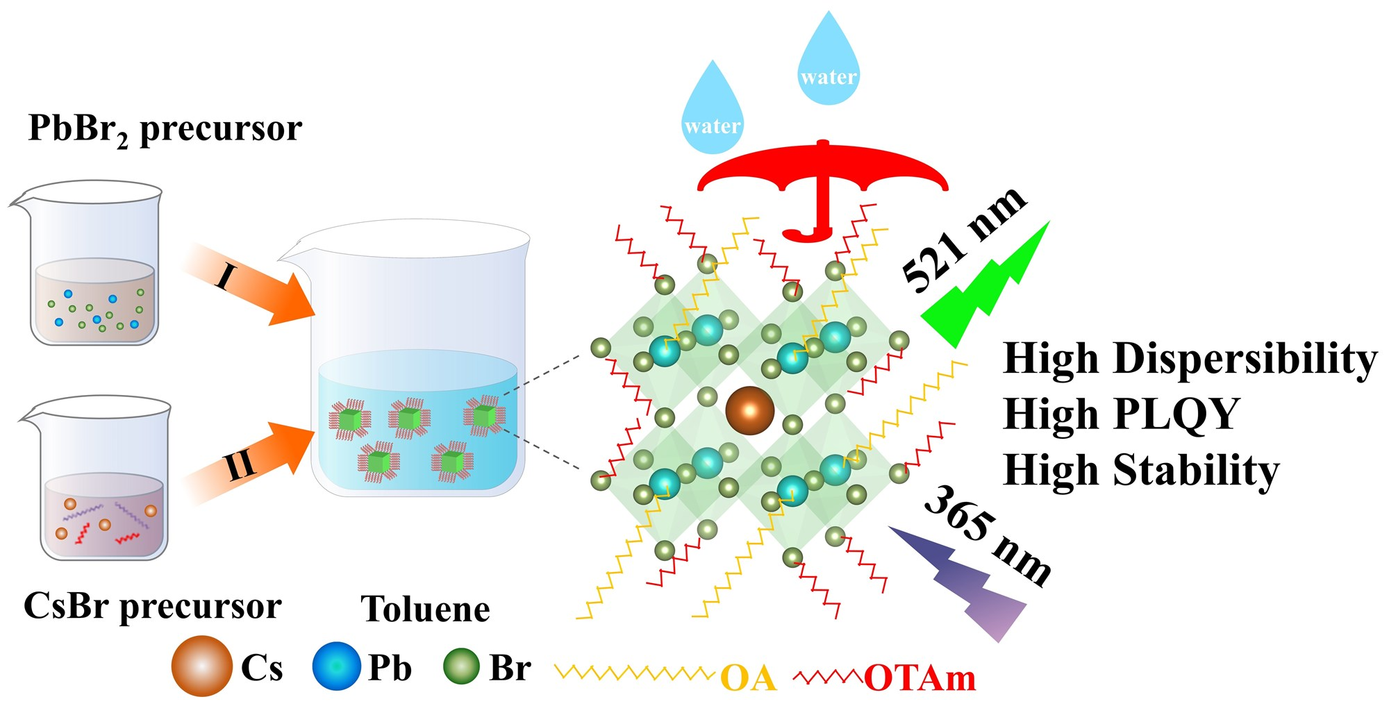 Synergistic Surface Modification of Bromocarboxylic Acid-Oleylamine ...