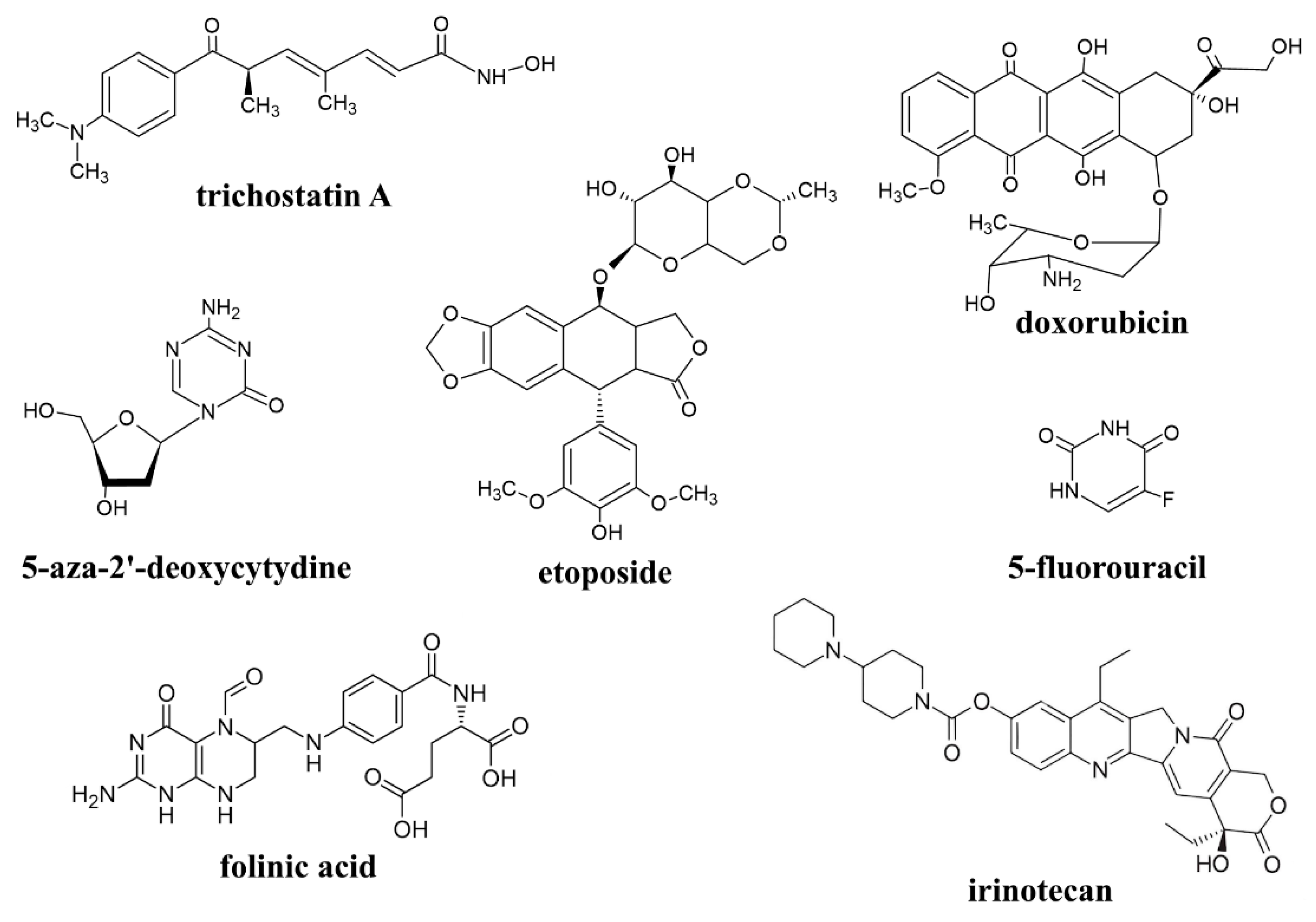 Platinum-Based Cytostatics Used in Oncology with Respect to ...