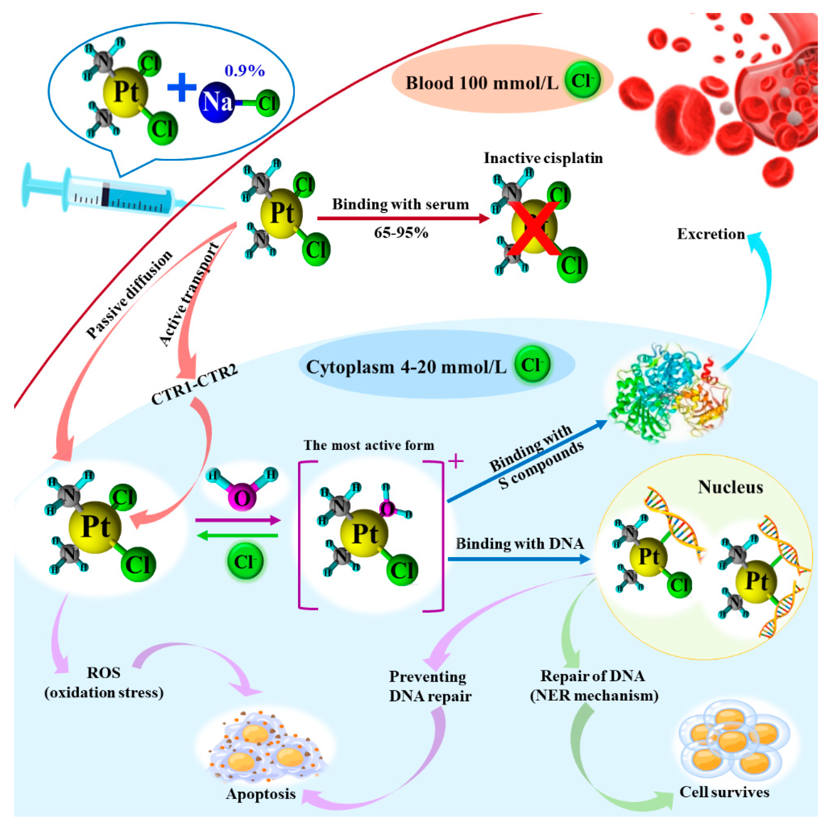 Platinum-Based Cytostatics Used in Oncology with Respect to ...