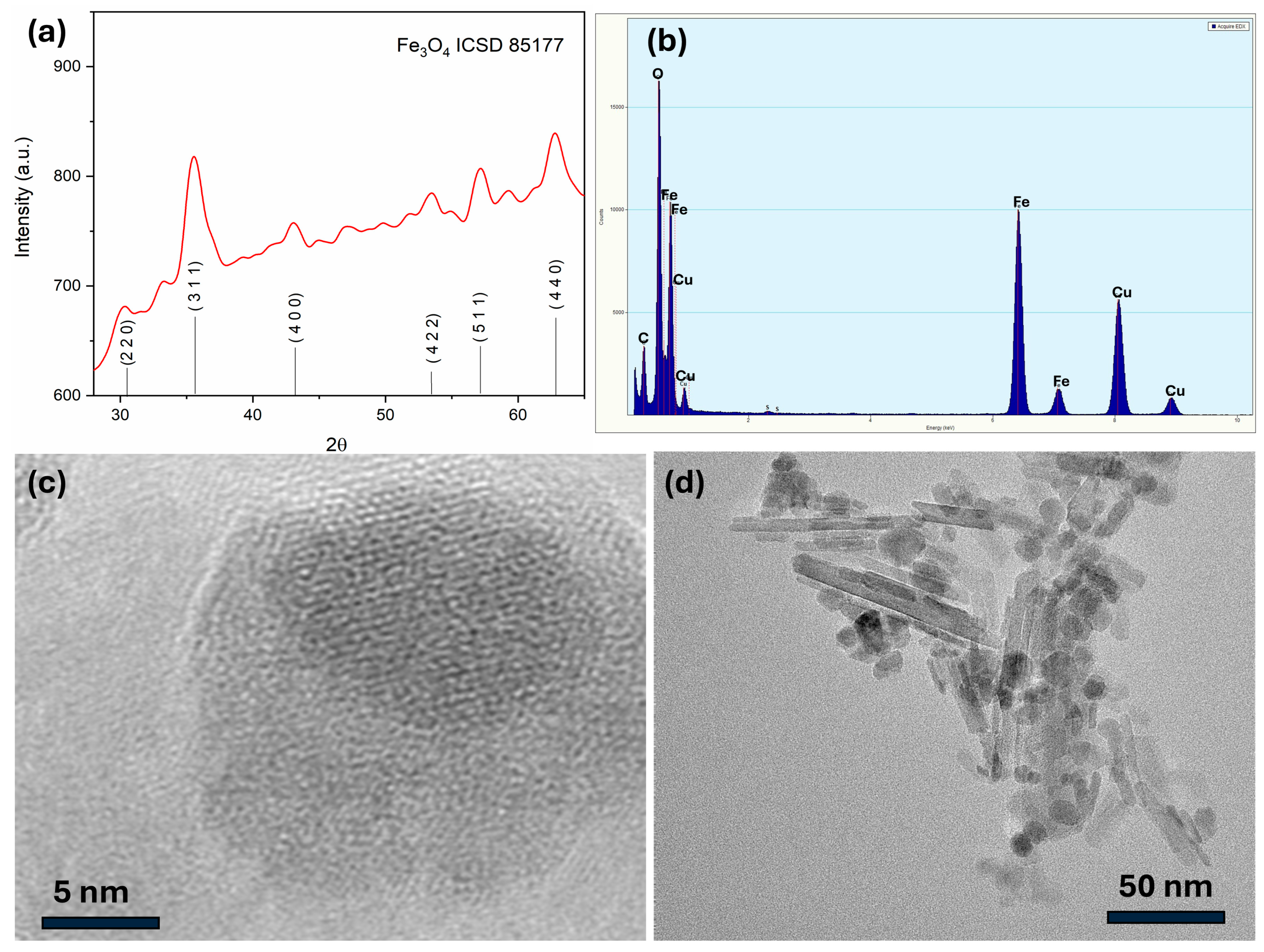 Magnetically Recoverable ICT-Functionalized Fe3O4 Nanoparticles for ...