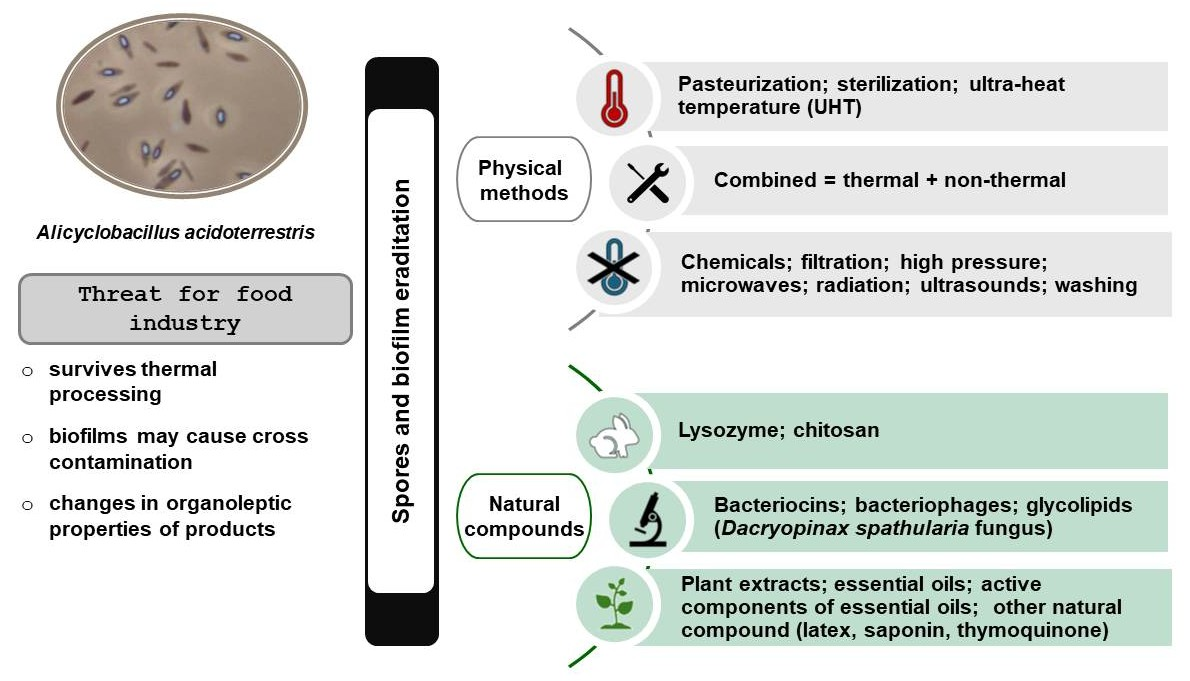 Alicyclobacillus acidoterrestris Eradication Strategies with Physical ...