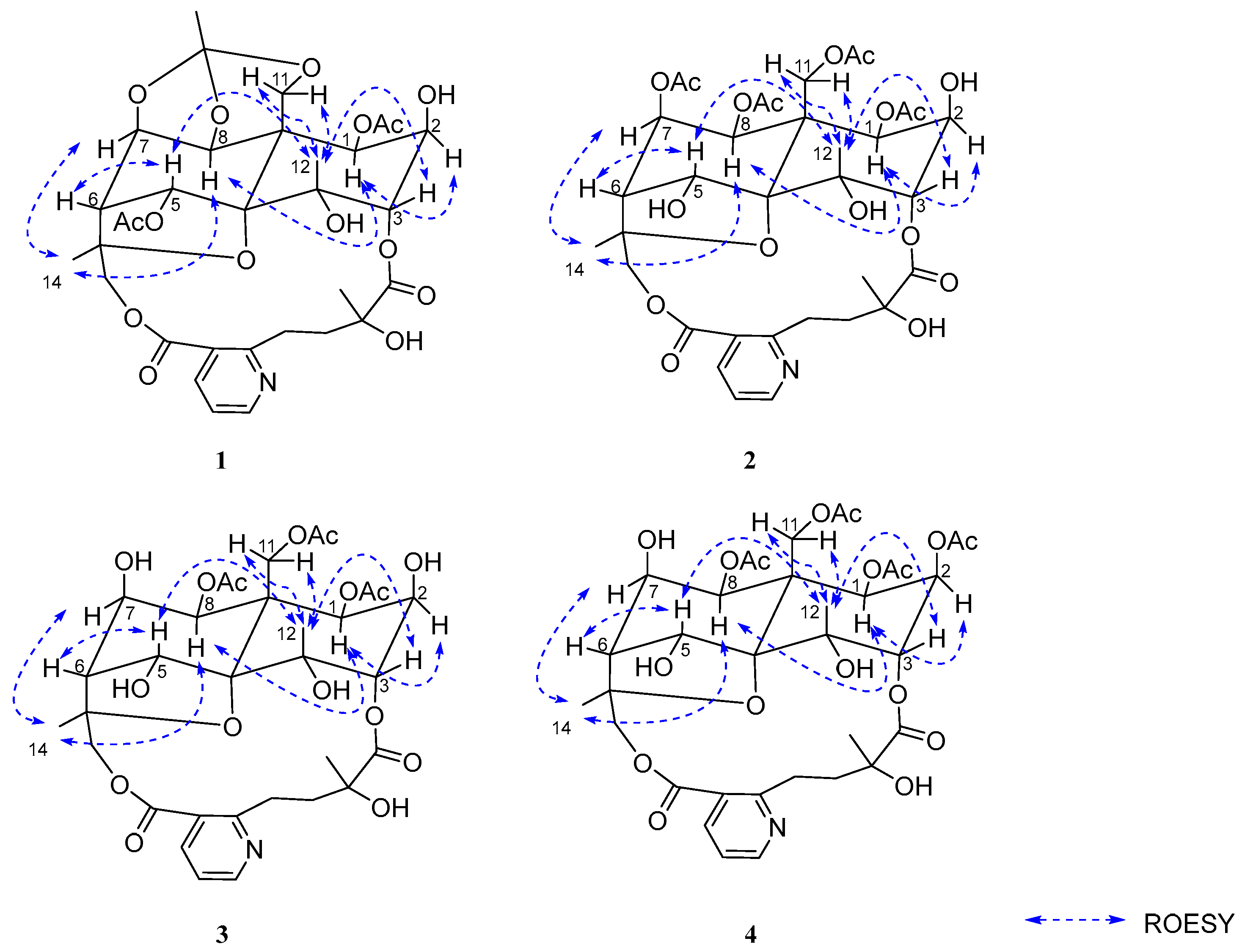 Four New Sesquiterpene Pyridine Alkaloids from the Roots of ...