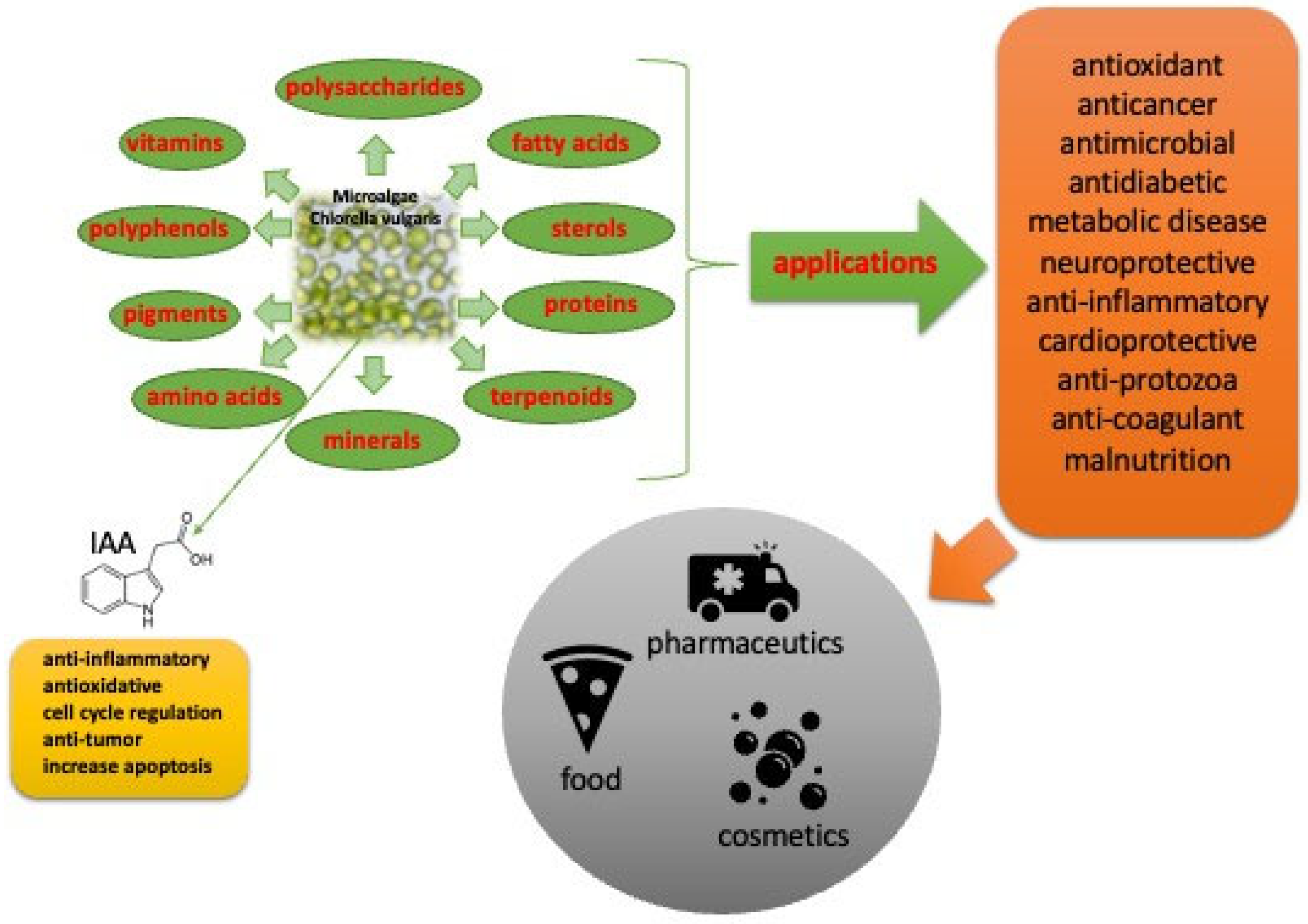 Anticancer and Antimicrobial Activity of Chlorella vulgaris BA02 Algae ...