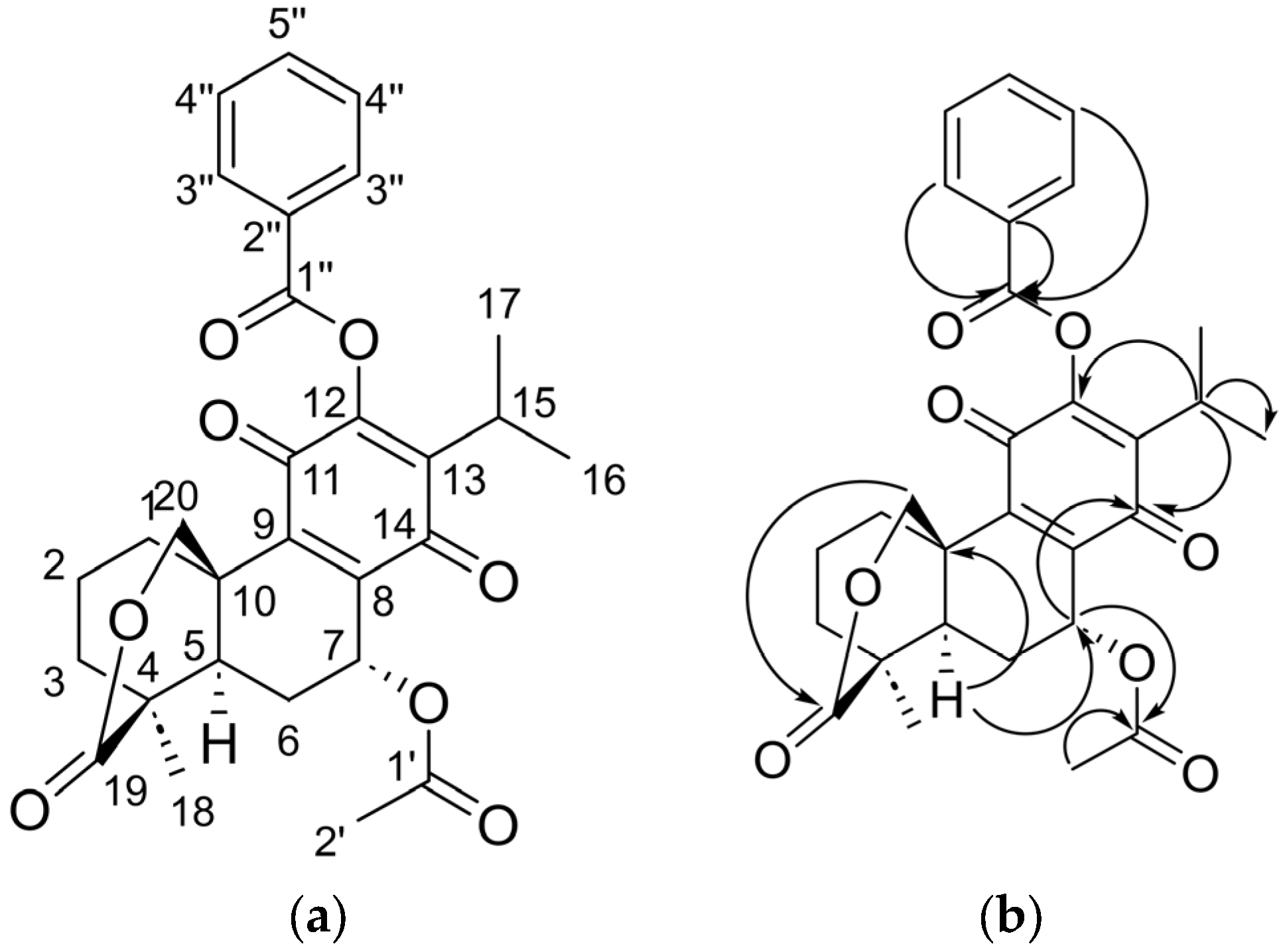 Thorough Characterization of Two Sessein Derivatives with Potential ...
