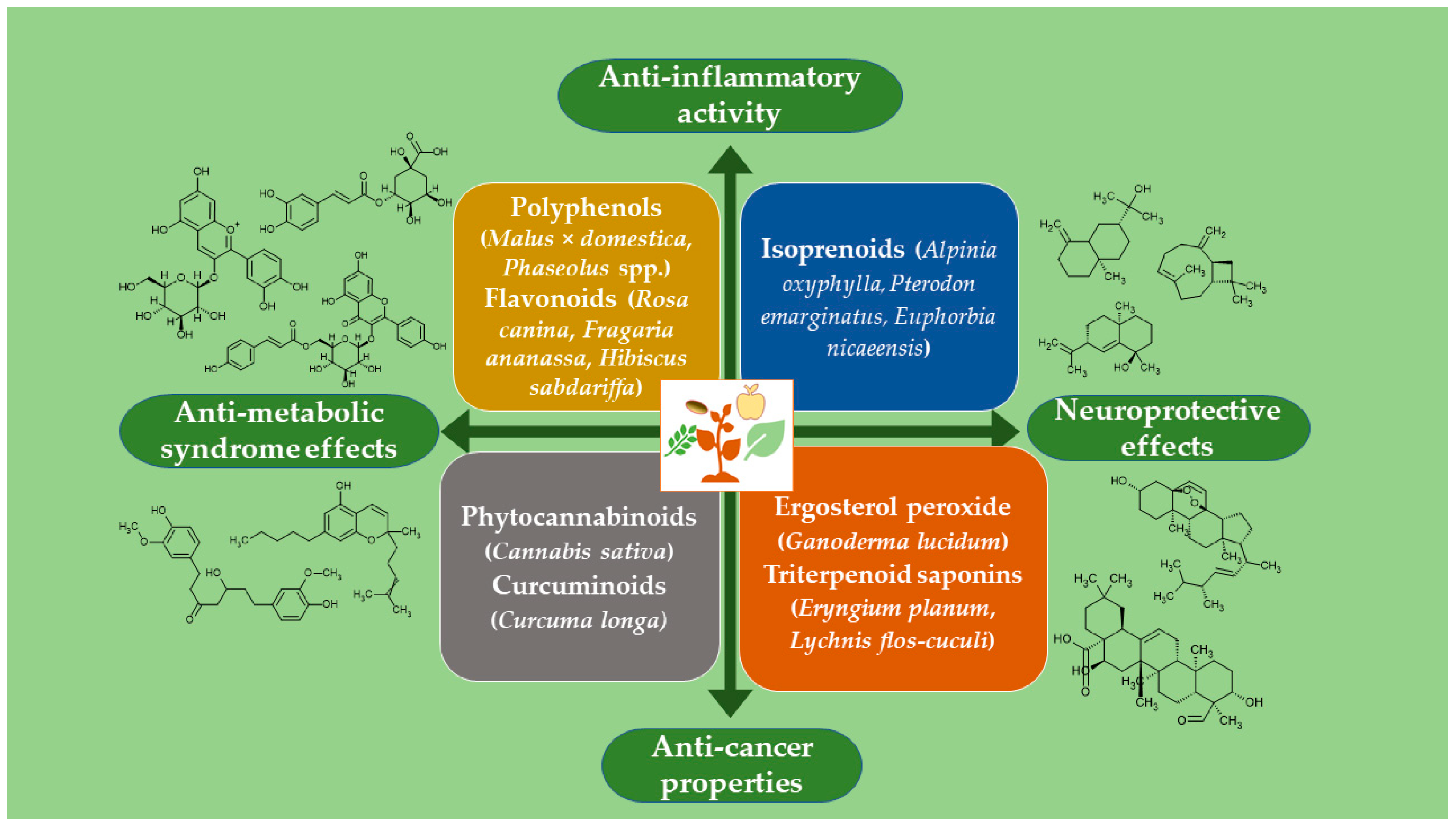 Bioactivity of Natural Compounds: From Plants to Humans