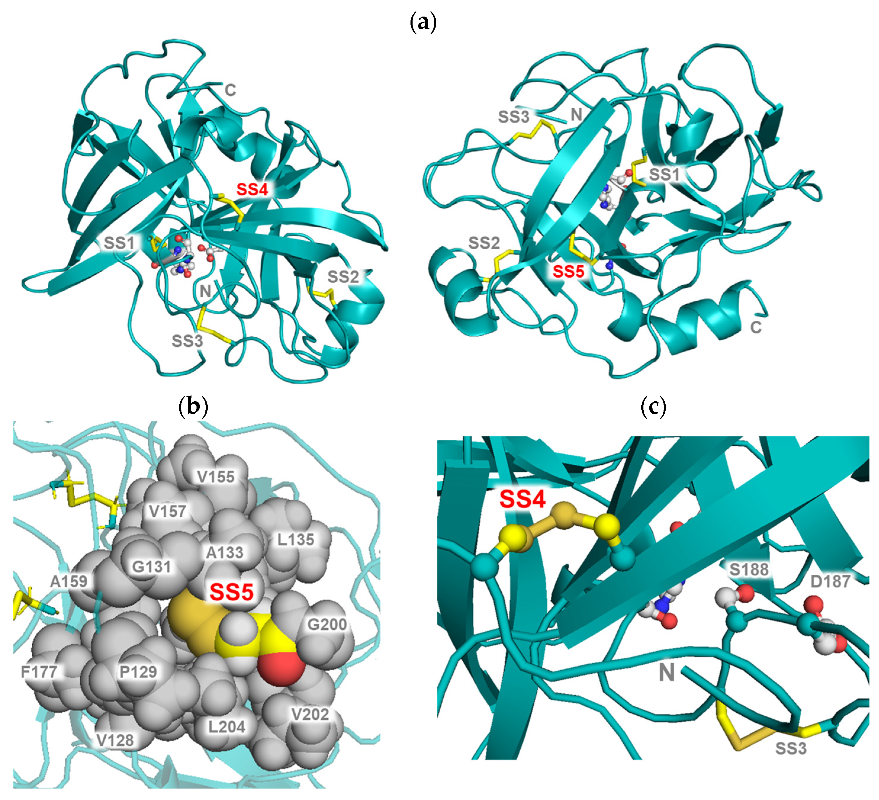 Structural and Catalytic Roles of the Disulfide Bonds Cys19–Cys154 and ...