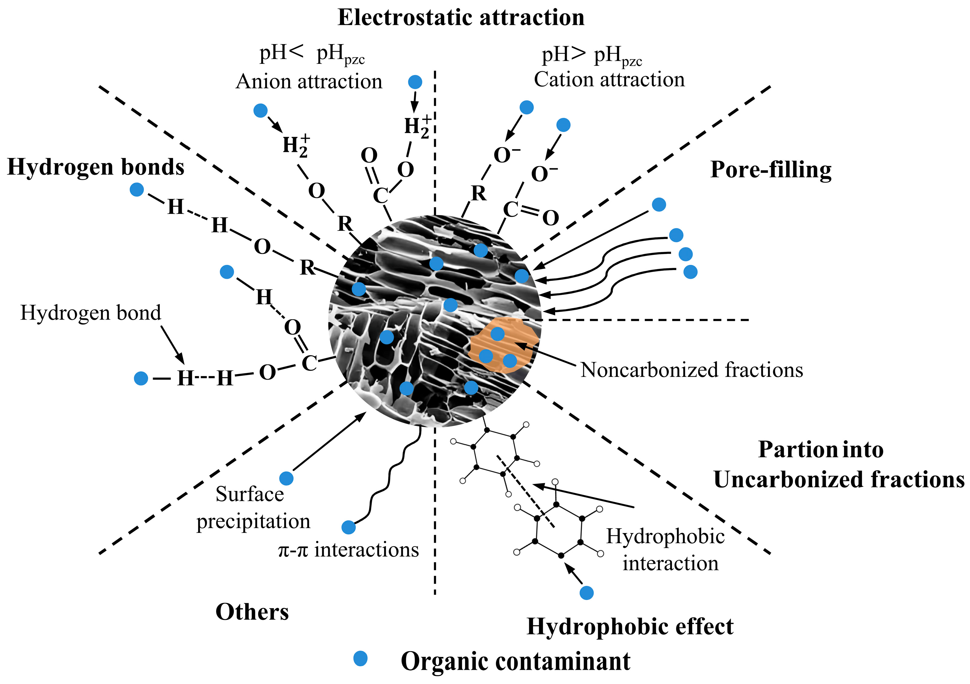 Biochar Innovations for Organic Pollutant Remediation in Contaminated Soils