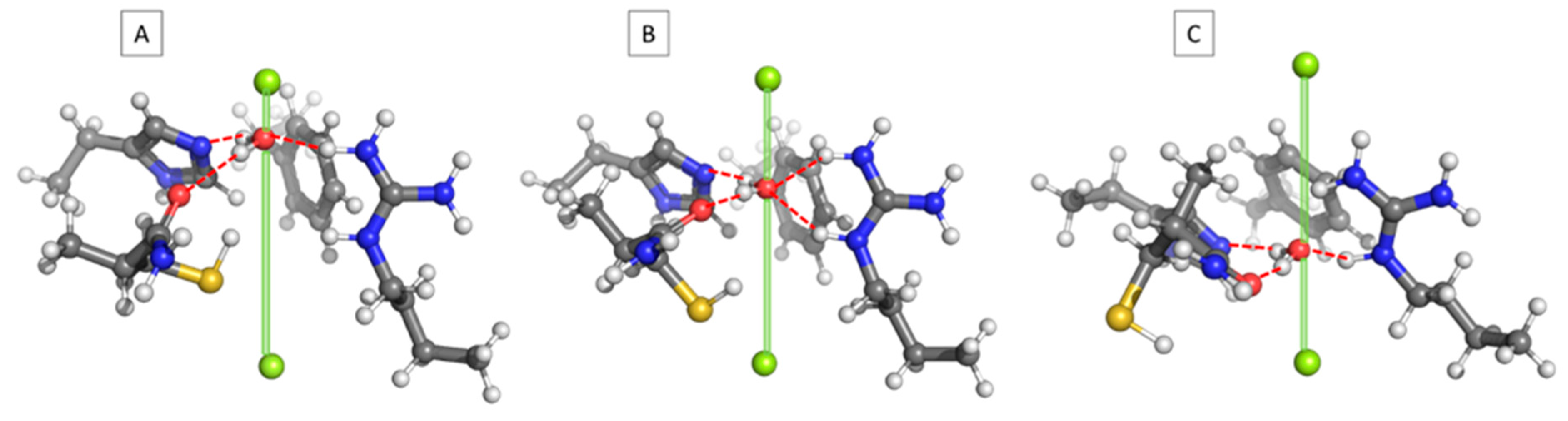 Water Molecule(s) Inside the Selectivity Filter of Aquaporin 1: A DFT Study