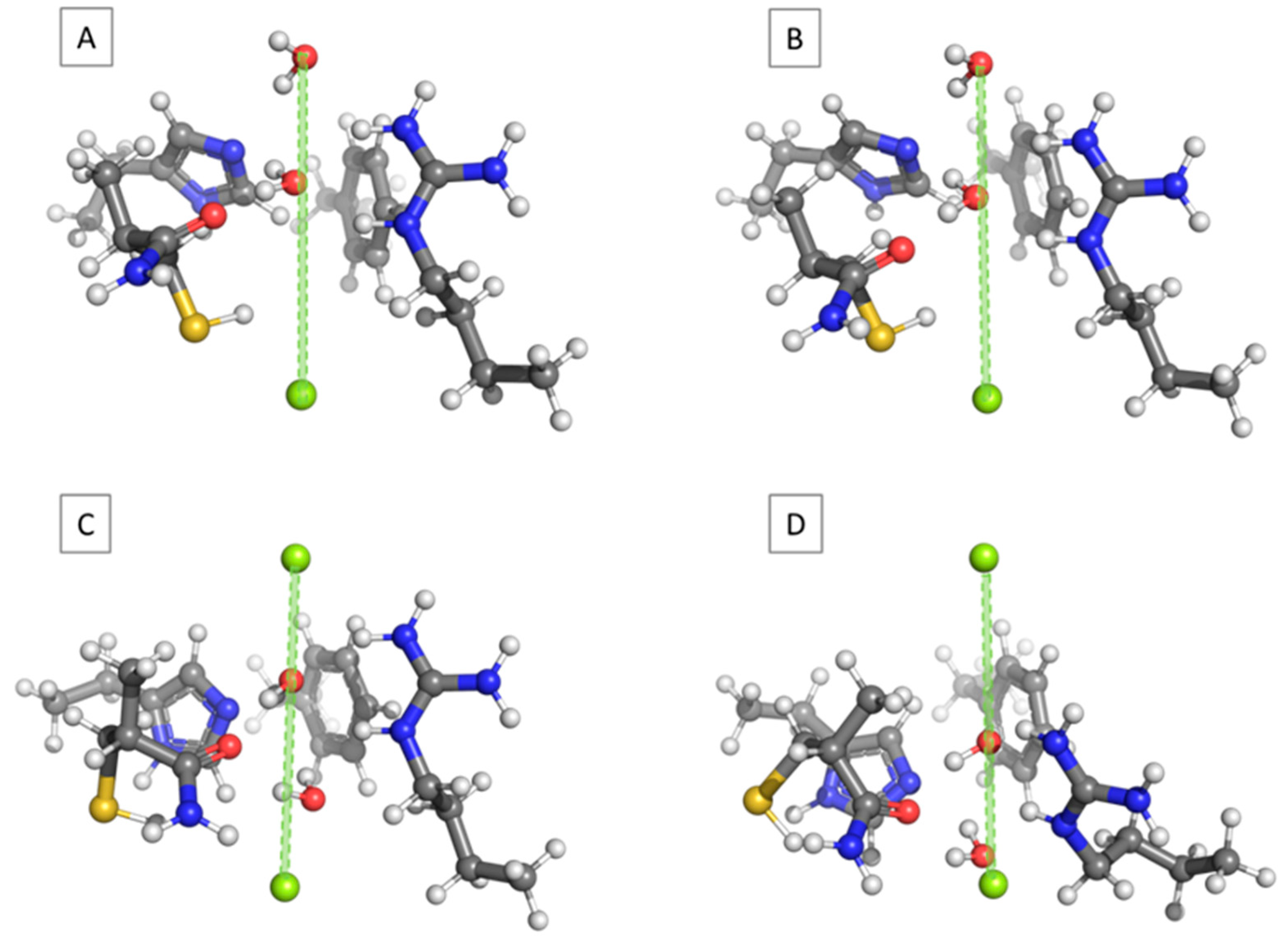 Water Molecule(s) Inside the Selectivity Filter of Aquaporin 1: A DFT Study
