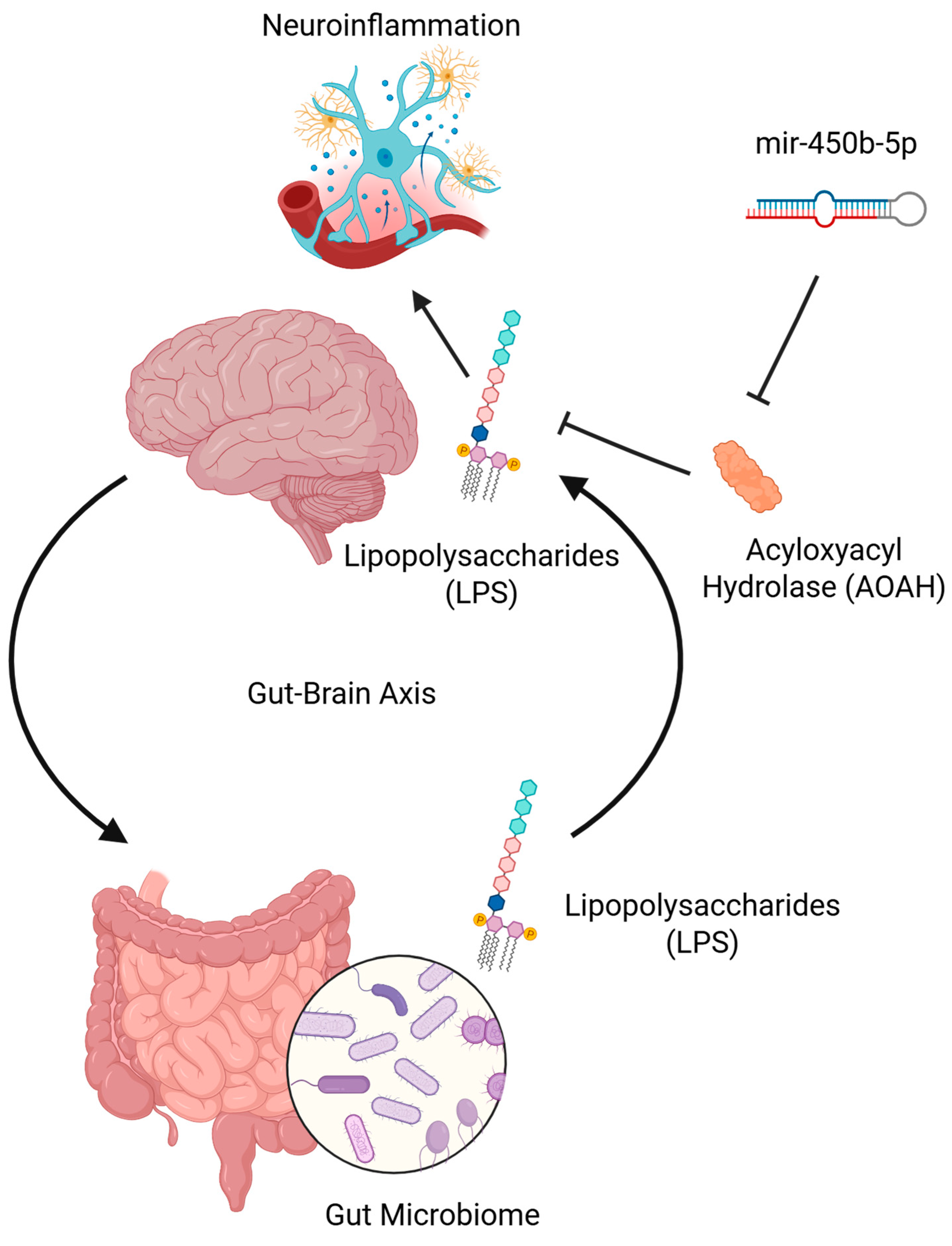 Down-Regulation of Acyloxyacyl Hydrolase Expression in Alzheimer’s ...