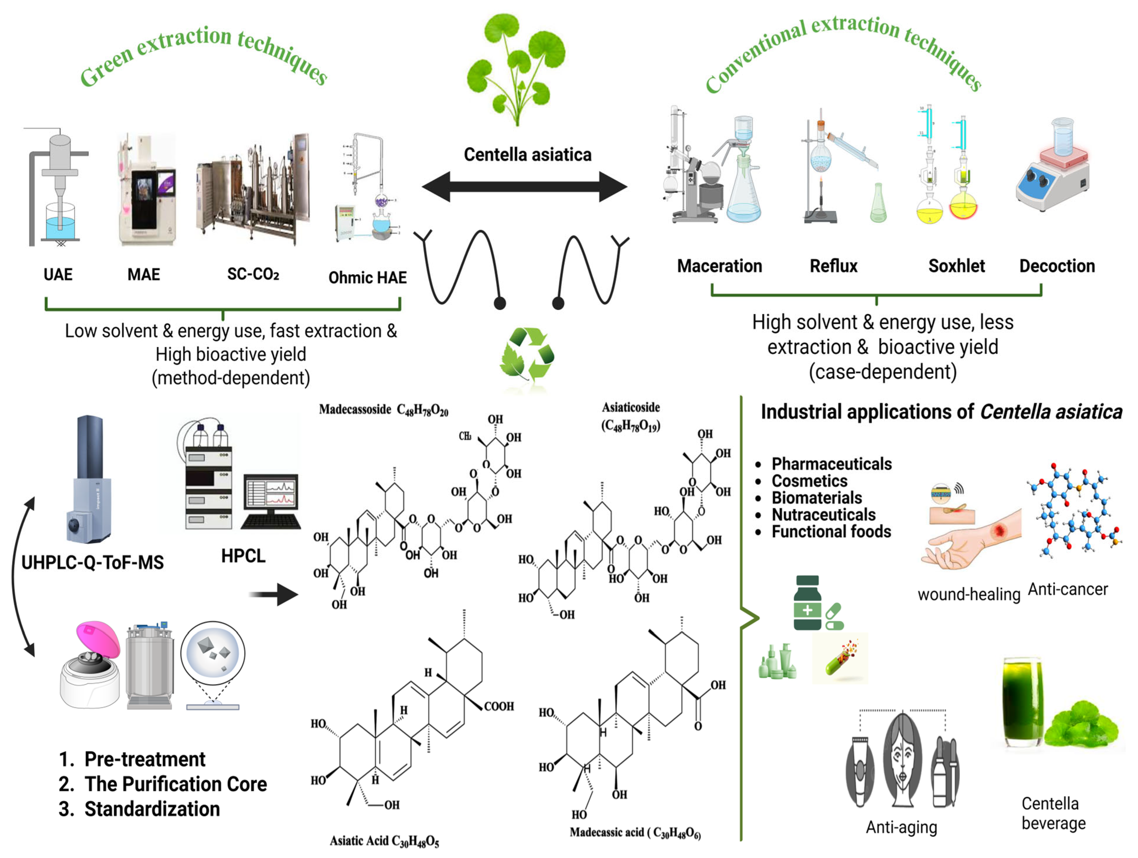 Centella asiatica as a Model Biomass for Sustainable Production of ...