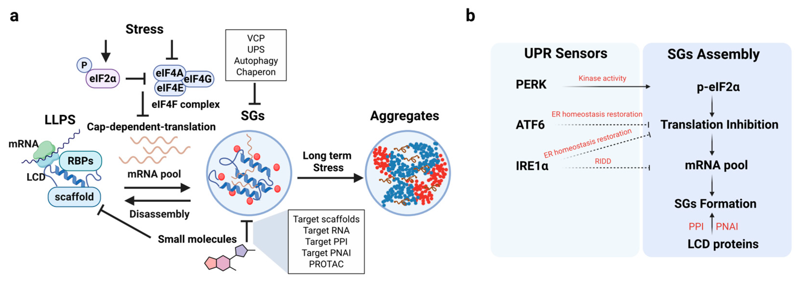 Targeting the UPR with Small Molecules: Emerging Strategies for Immune ...