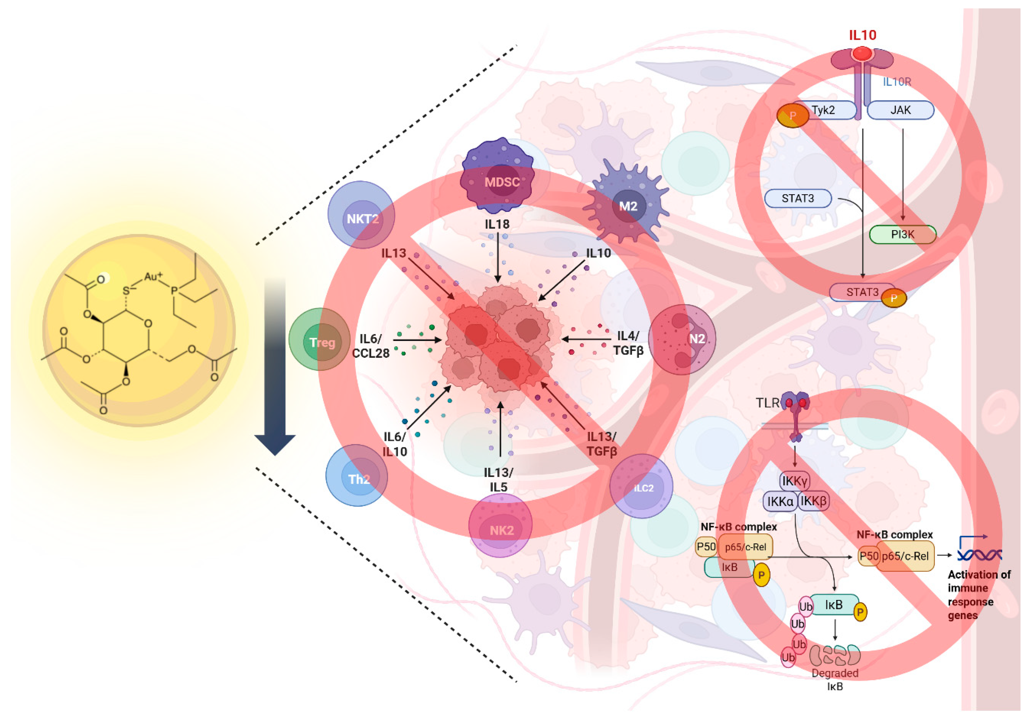Auranofin Combination Therapy: A New Frontier in Cancer Treatment