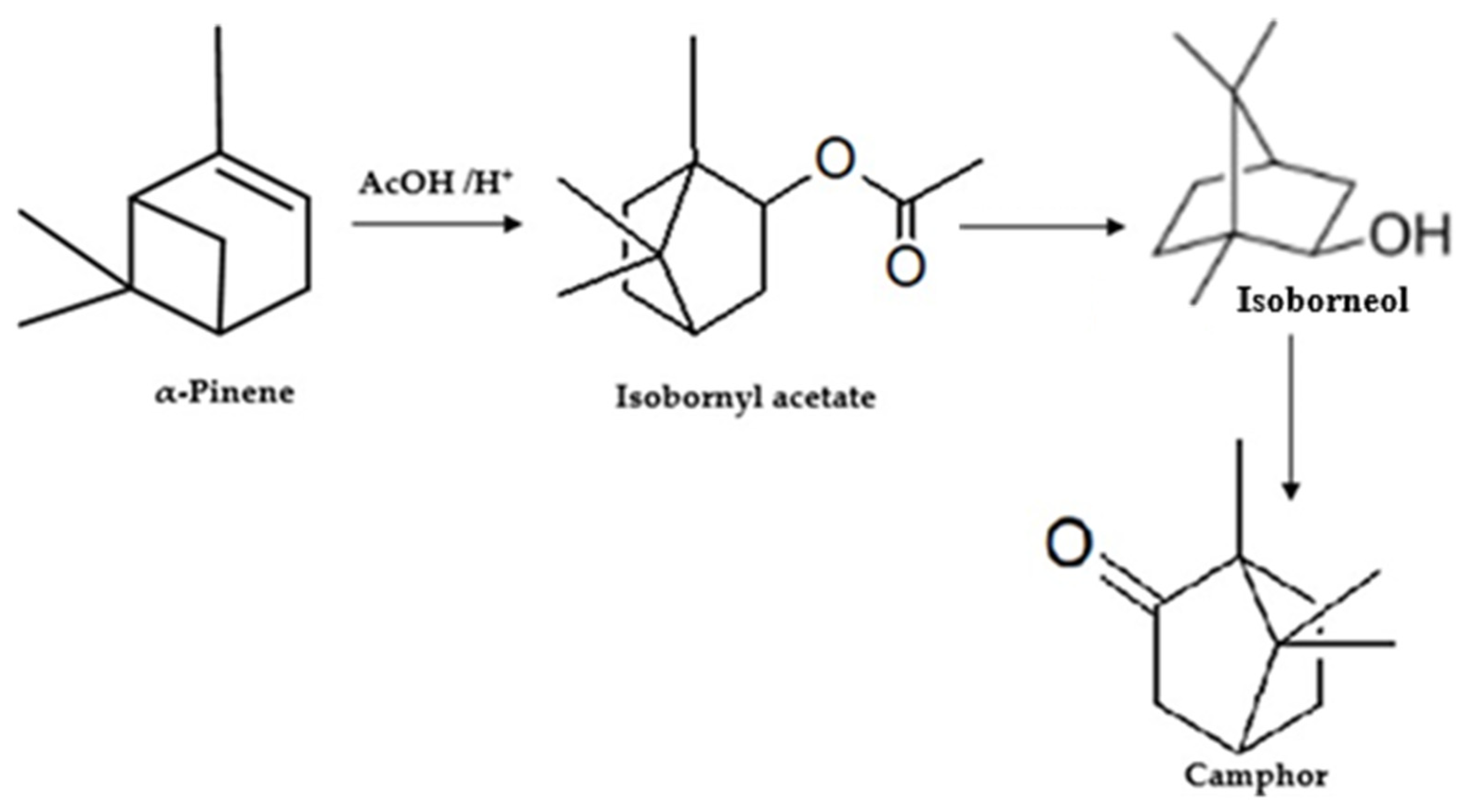 Camphor’s Therapeutic Uses and Potential Hazards: An In-Depth Review of ...