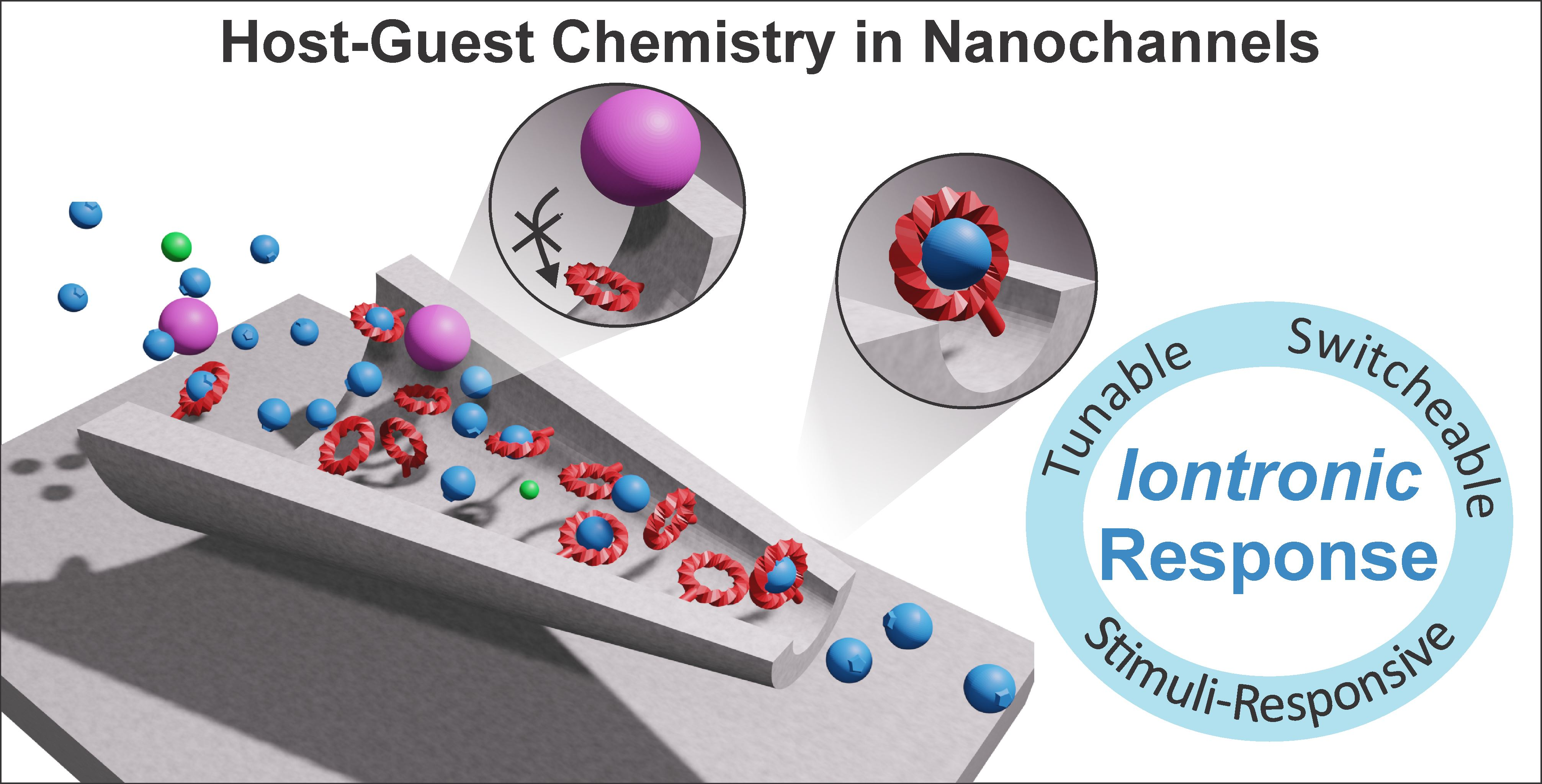 Host–Guest Chemistry as a Supramolecular Engine for Iontronic ...