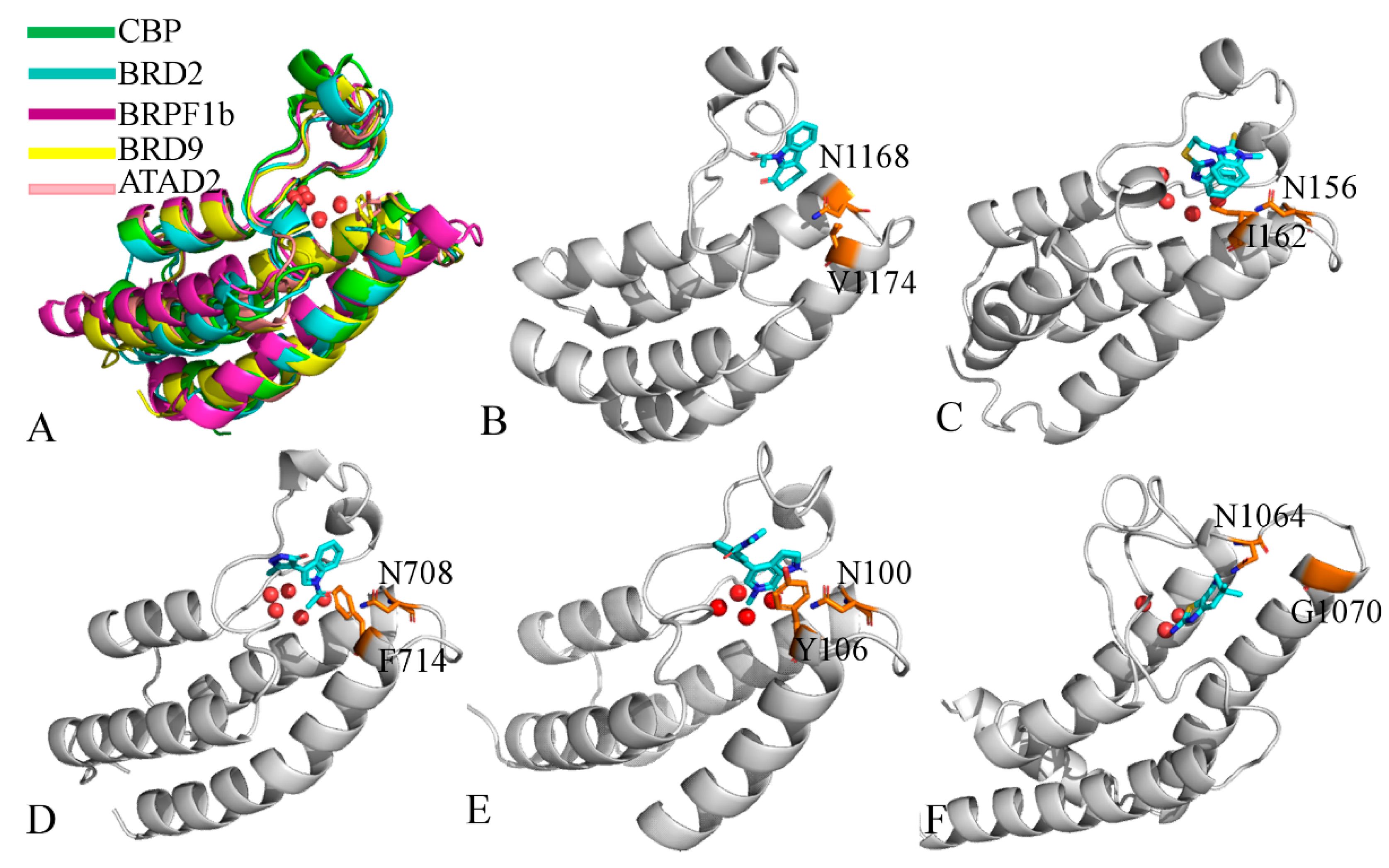 Recent Progress and Prospect in Studying Selective Inhibitors Toward ...