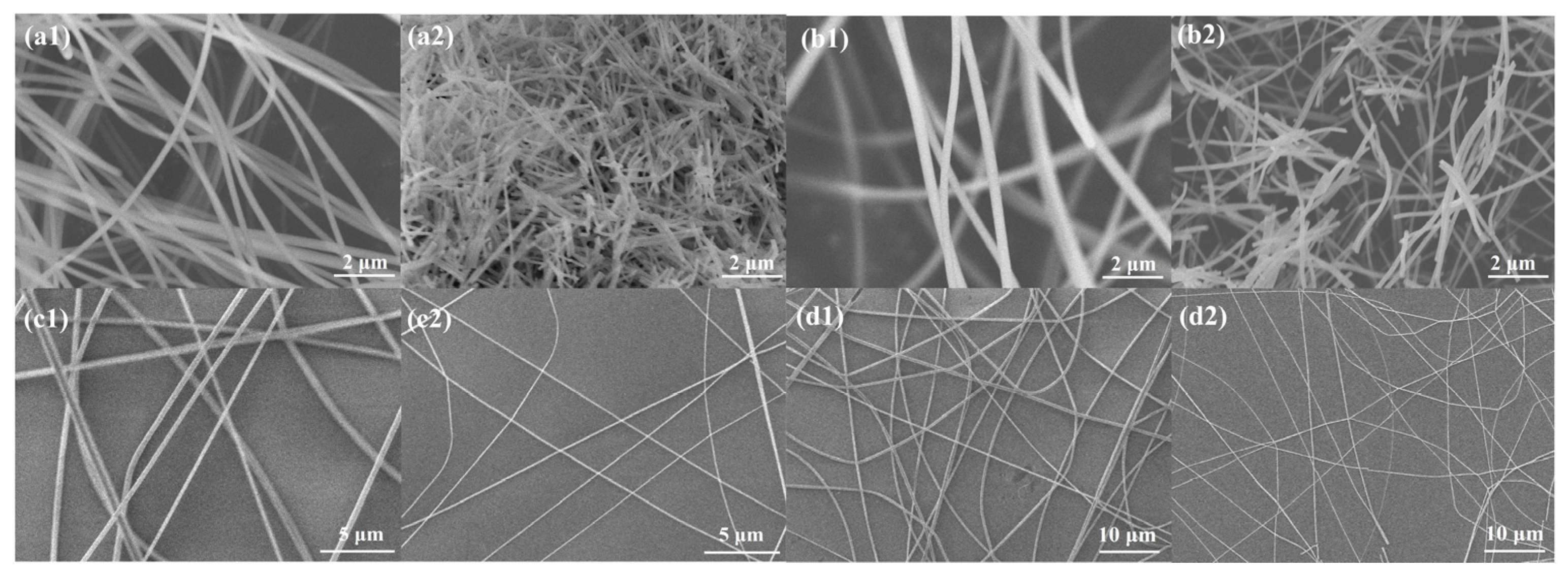 Conduction Mechanism and Magnetic Property of Ag-Doped LaFeO3 Nanofibers