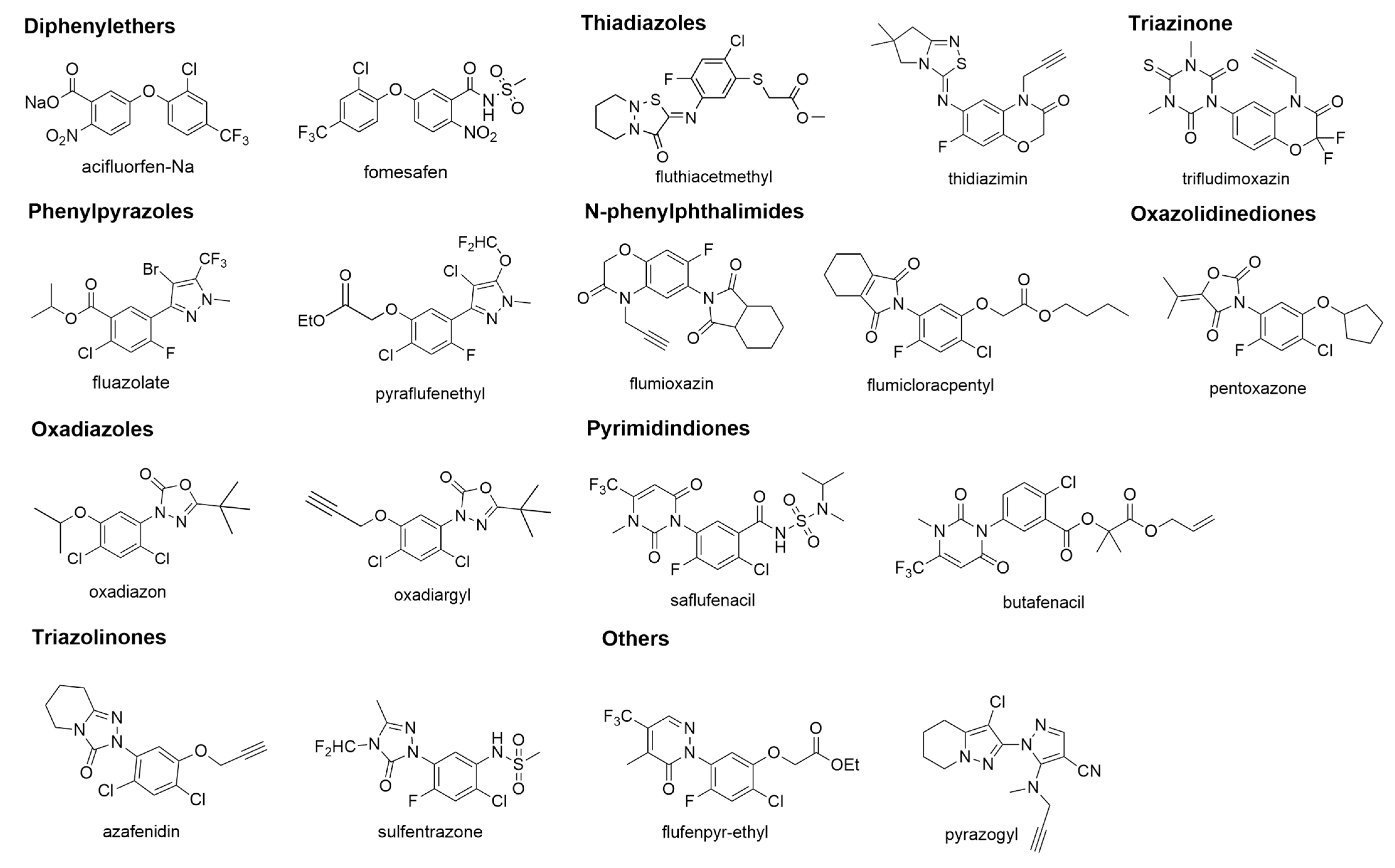 PPO Inhibitors as a Key Focus in Herbicide Discovery
