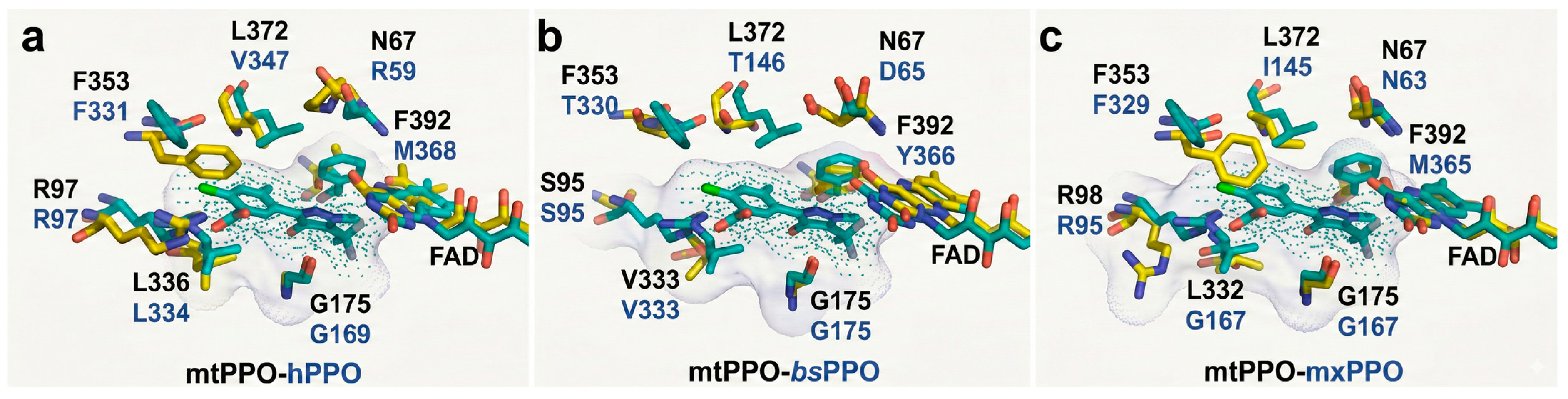 PPO Inhibitors as a Key Focus in Herbicide Discovery
