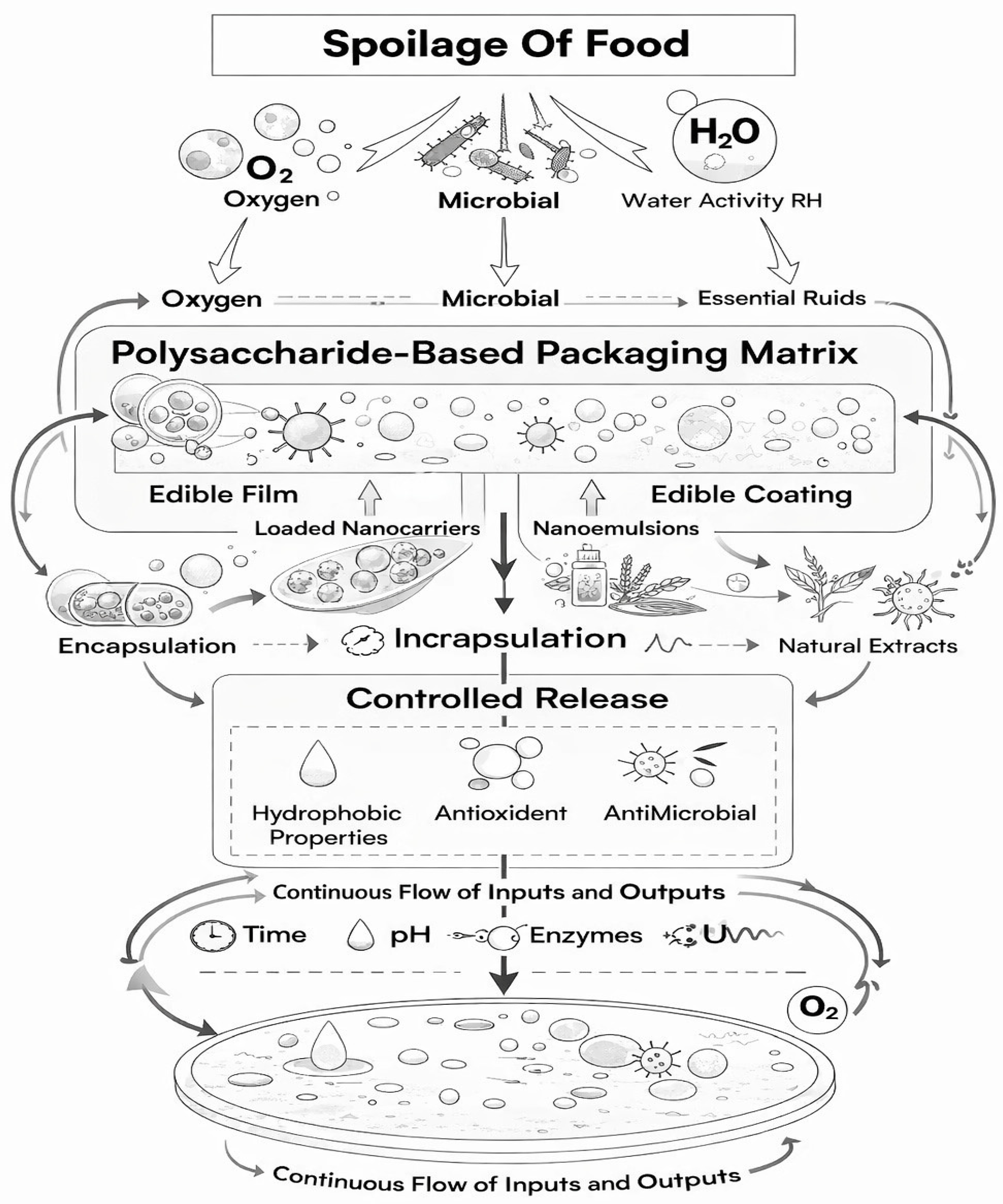 Polysaccharides: Nature’s Guardians of Freshness in Food Preservation