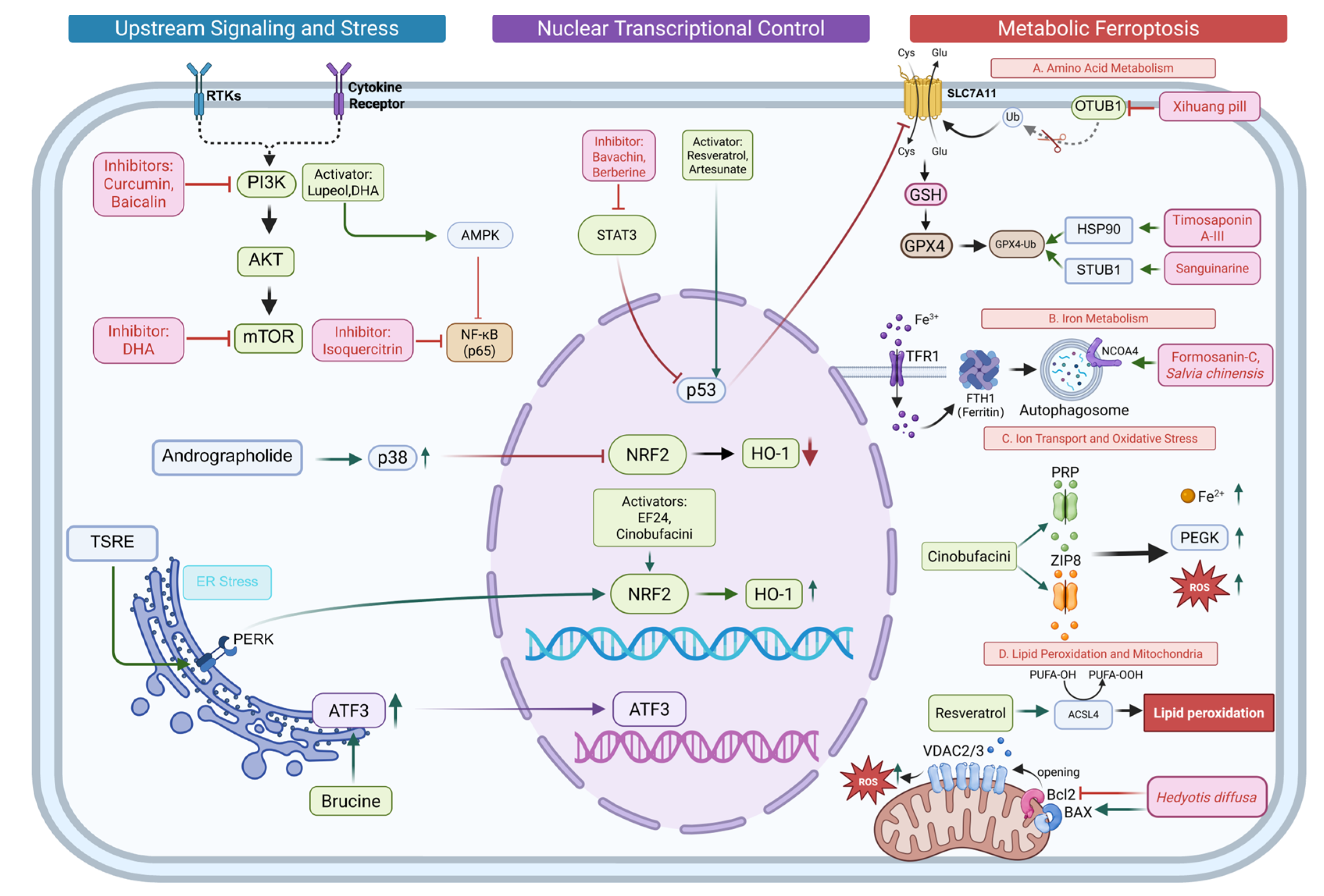 Research Progress on Chinese Herbal Medicine Components Targeting ...