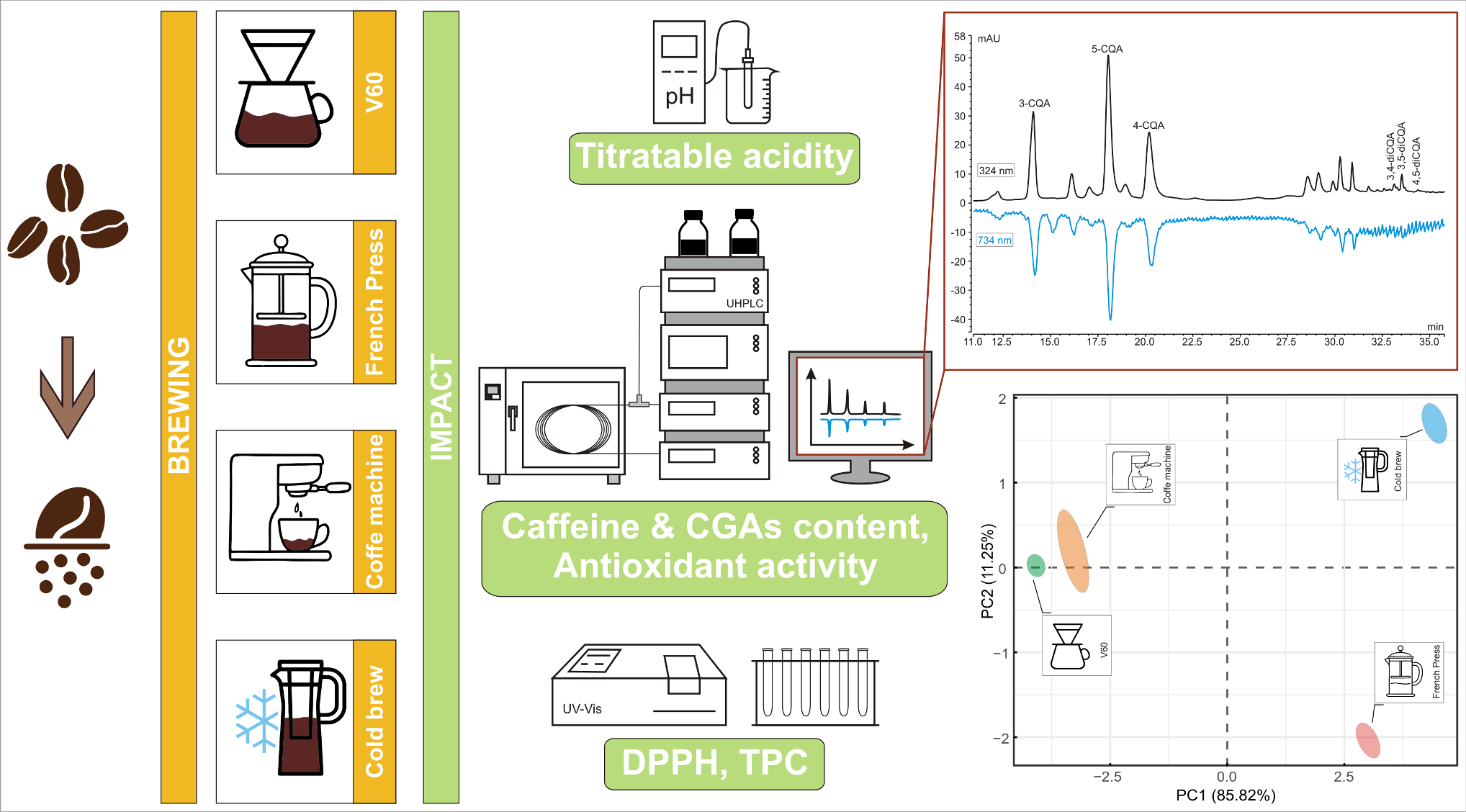 Brewing-Method-Dependent Changes in the Bioactive Compound Profile and ...