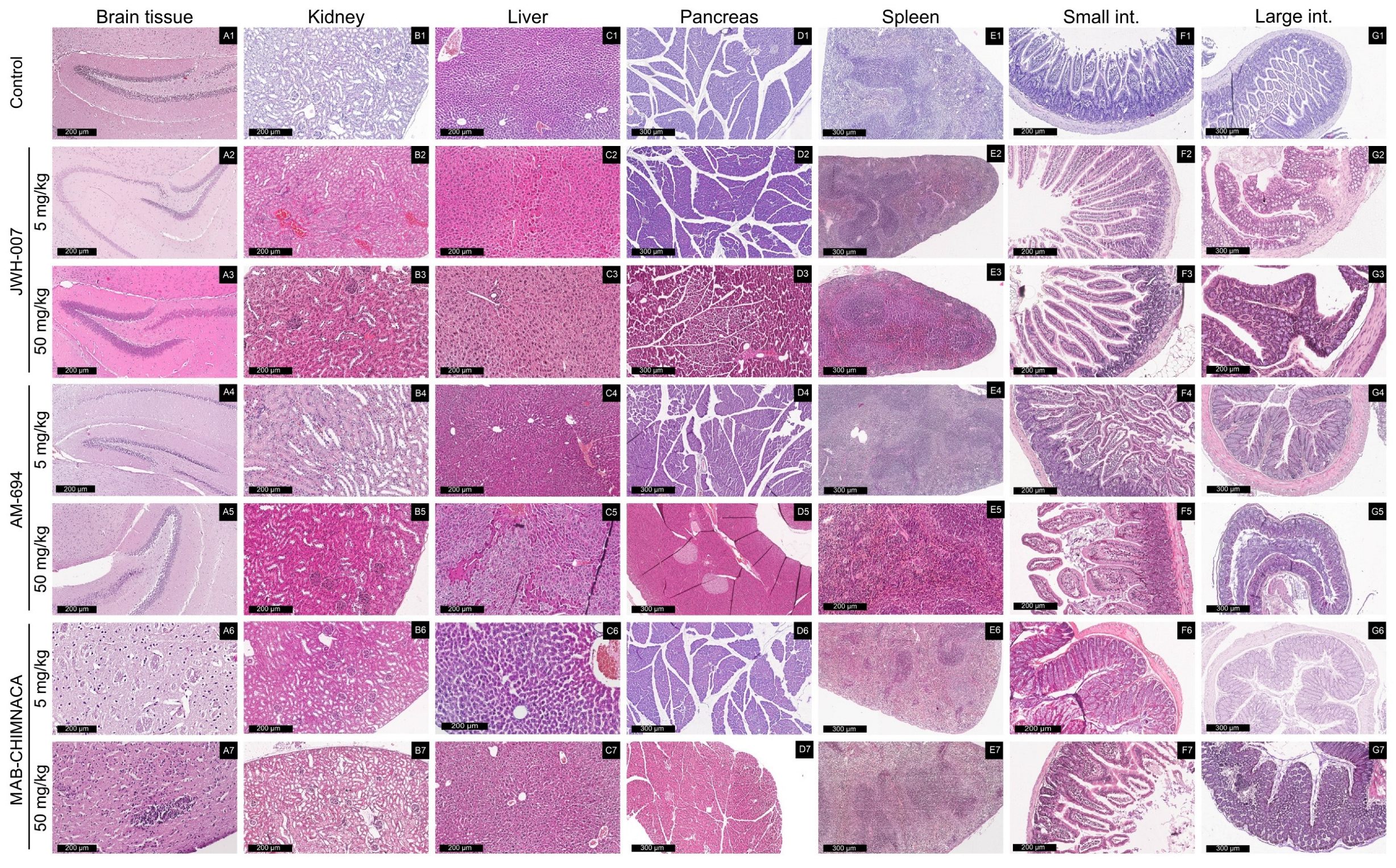 Acute Toxicity of Three Synthetic Cannabinoids: First In Vivo ...