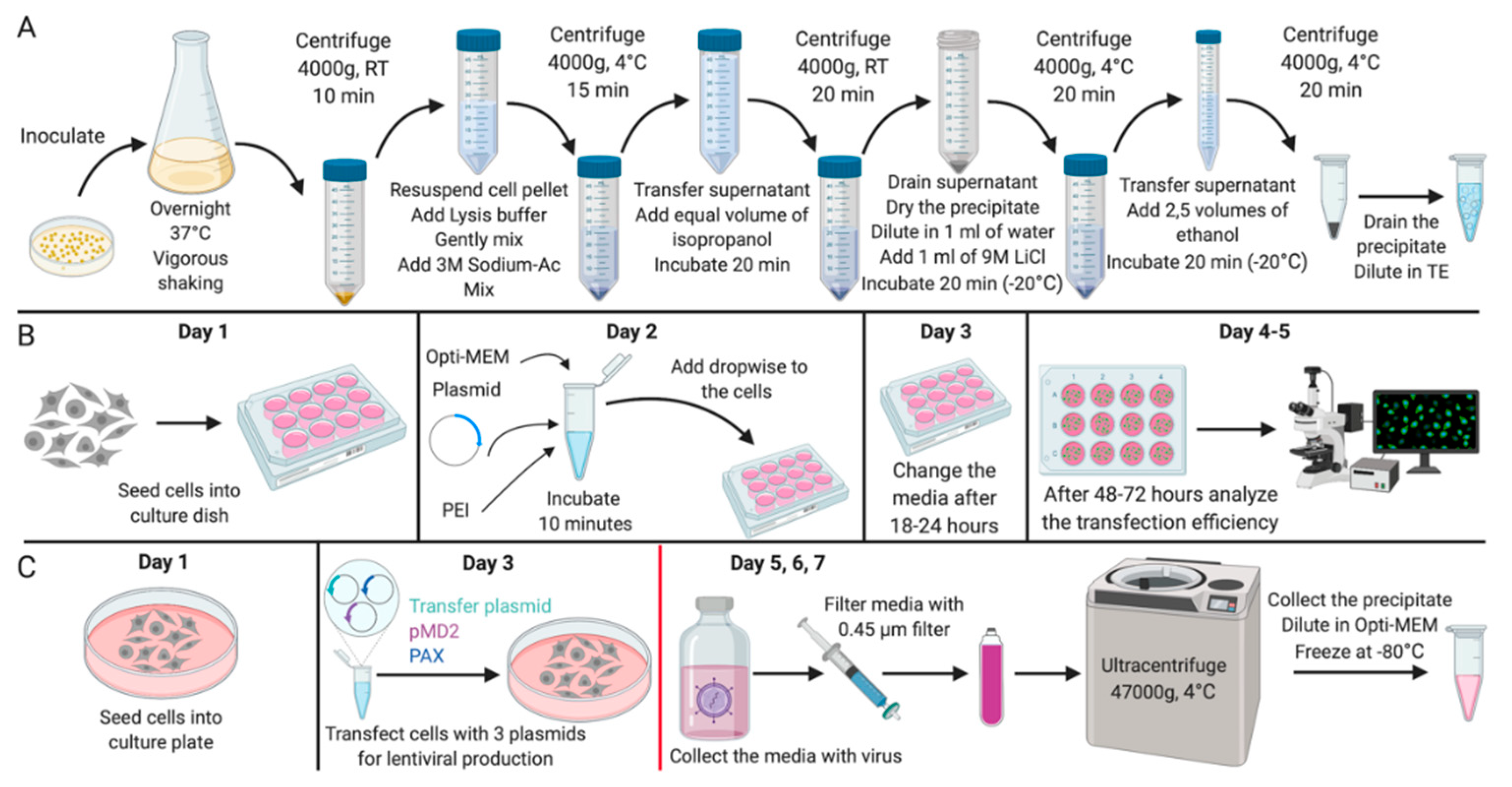 MPs Free Full Text An Efficient Method For Isolation Of Plasmid DNA MPs Free Full Text An Efficient Method For Isolation Of Plasmid DNA