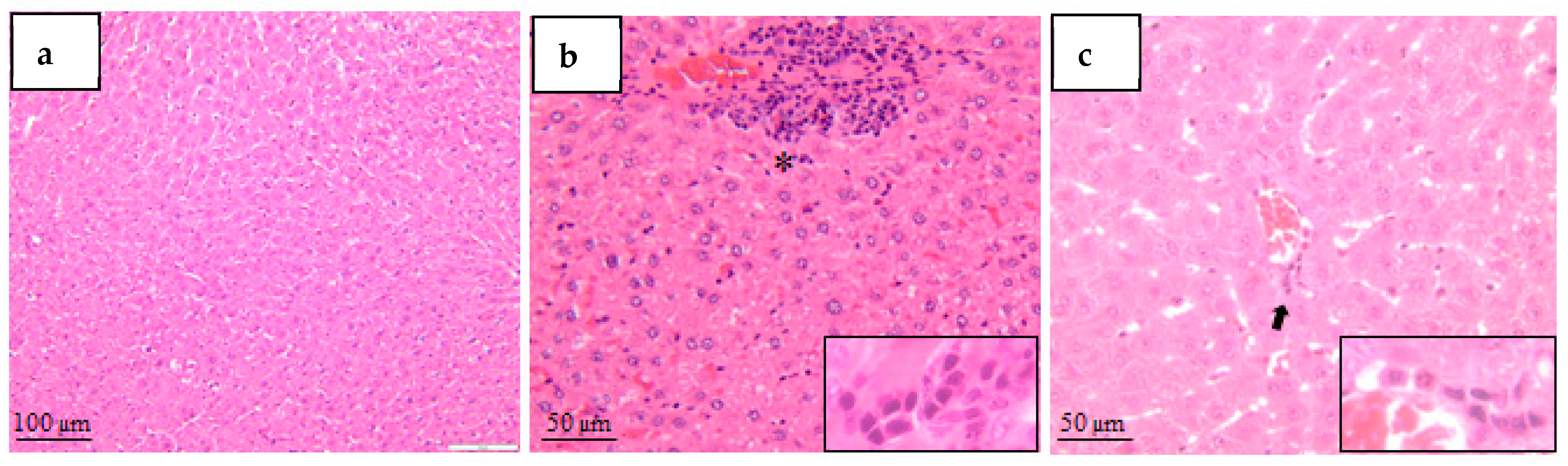 Comparative Analysis Of Streptozotocin Streptozotocin Nicotinamide And Comparative Analysis Of Streptozotocin Streptozotocin Nicotinamide And