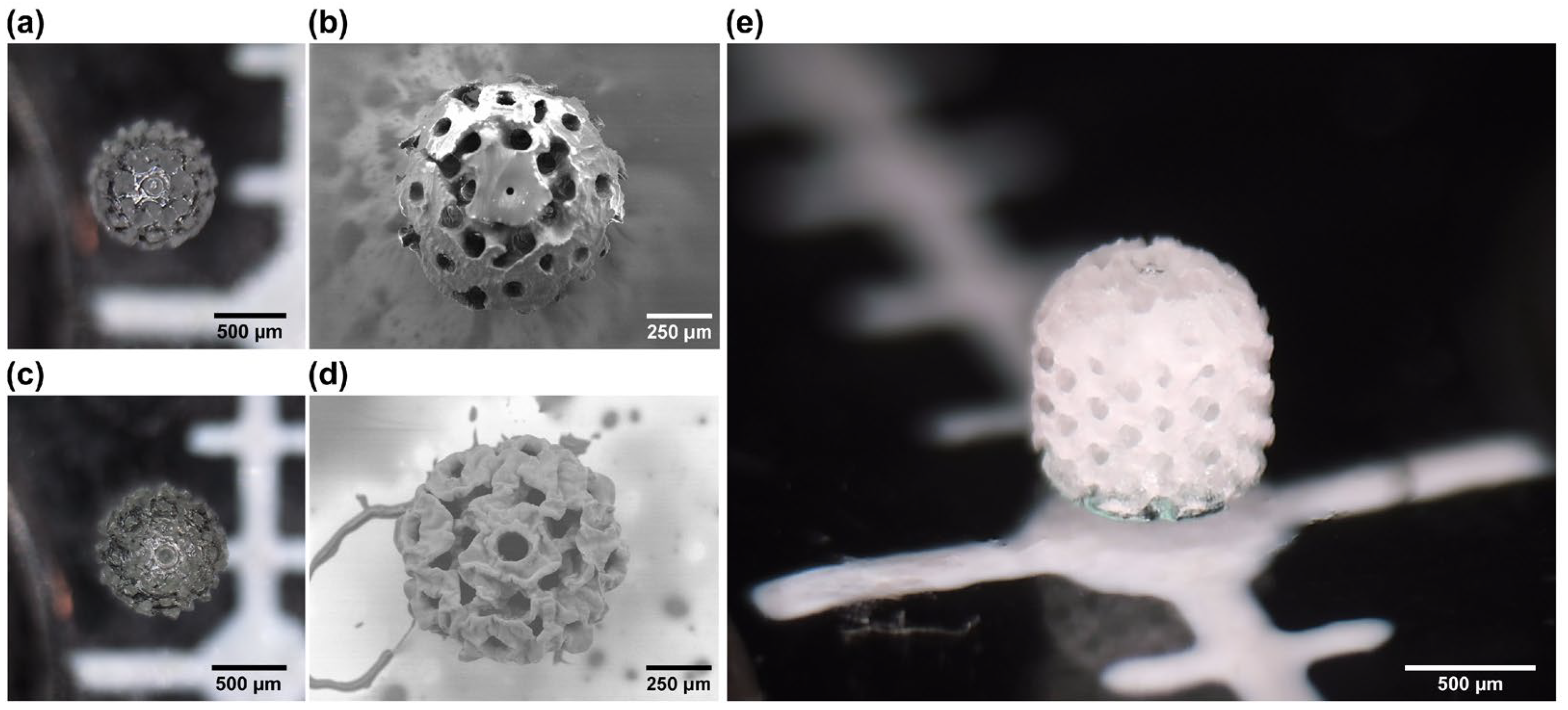 Advancements in Two-Photon Polymerization (2PP) for Micro and Nanoscale ...