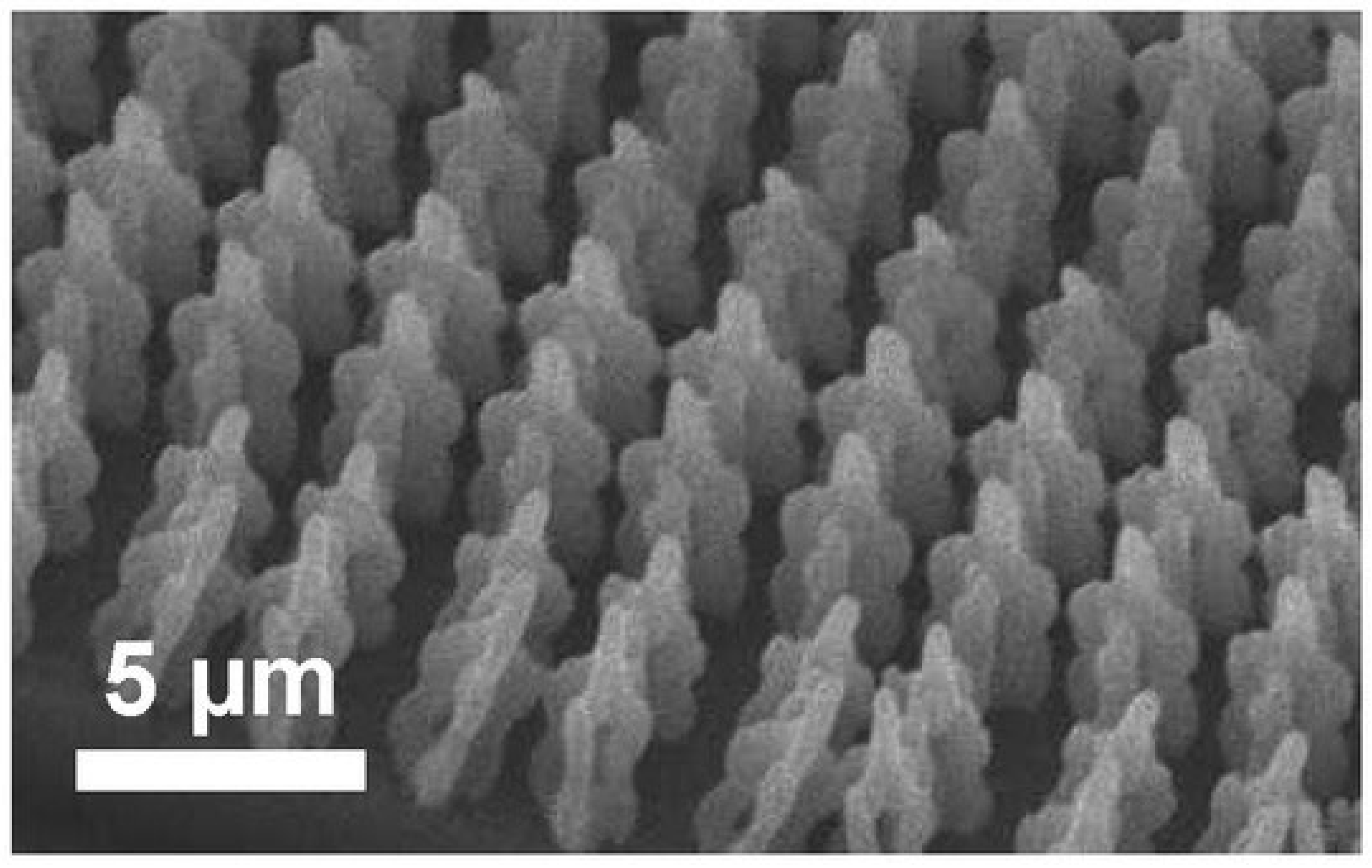 Advancements in Two-Photon Polymerization (2PP) for Micro and Nanoscale ...