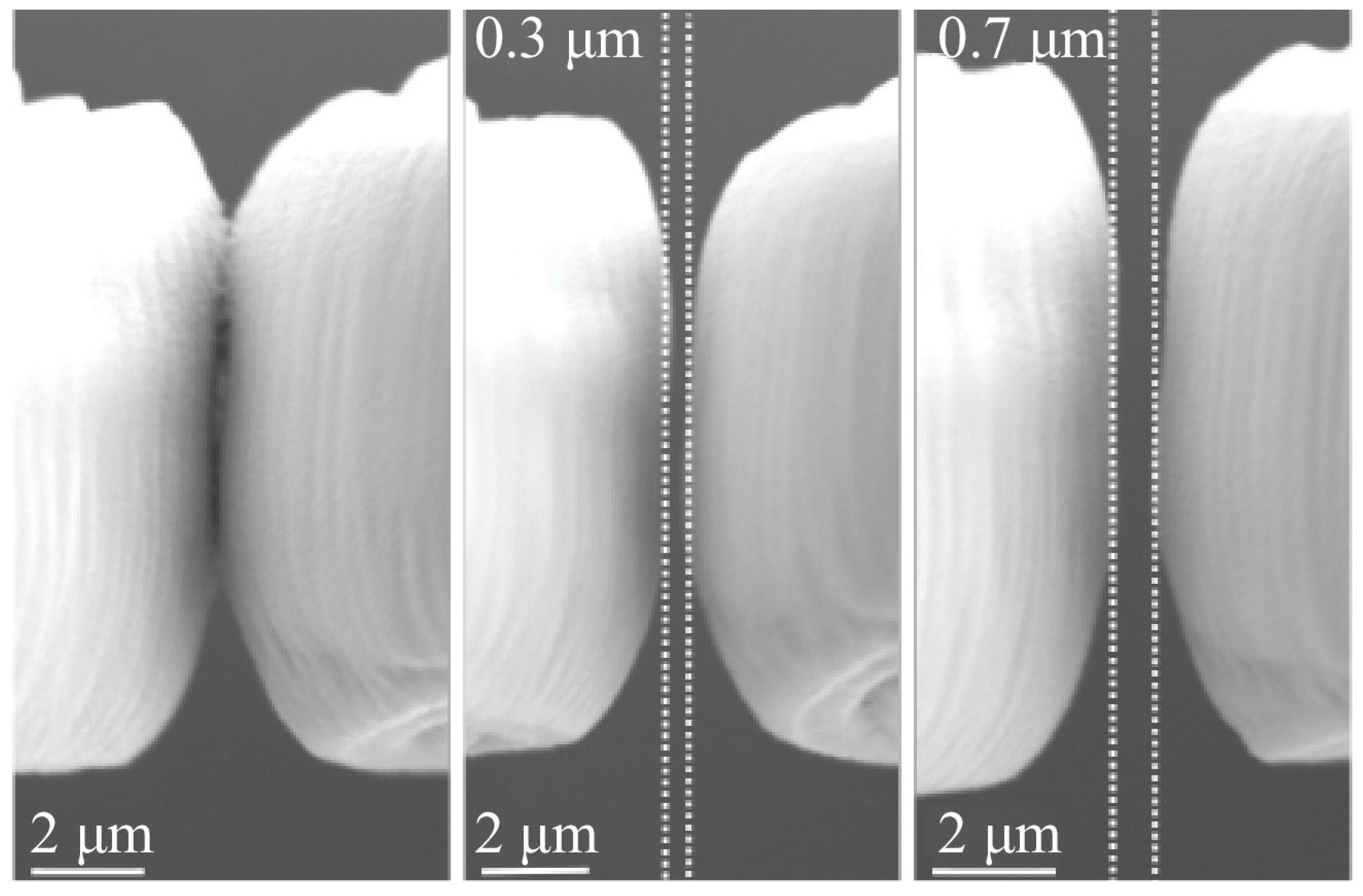 Advancements in Two-Photon Polymerization (2PP) for Micro and Nanoscale ...