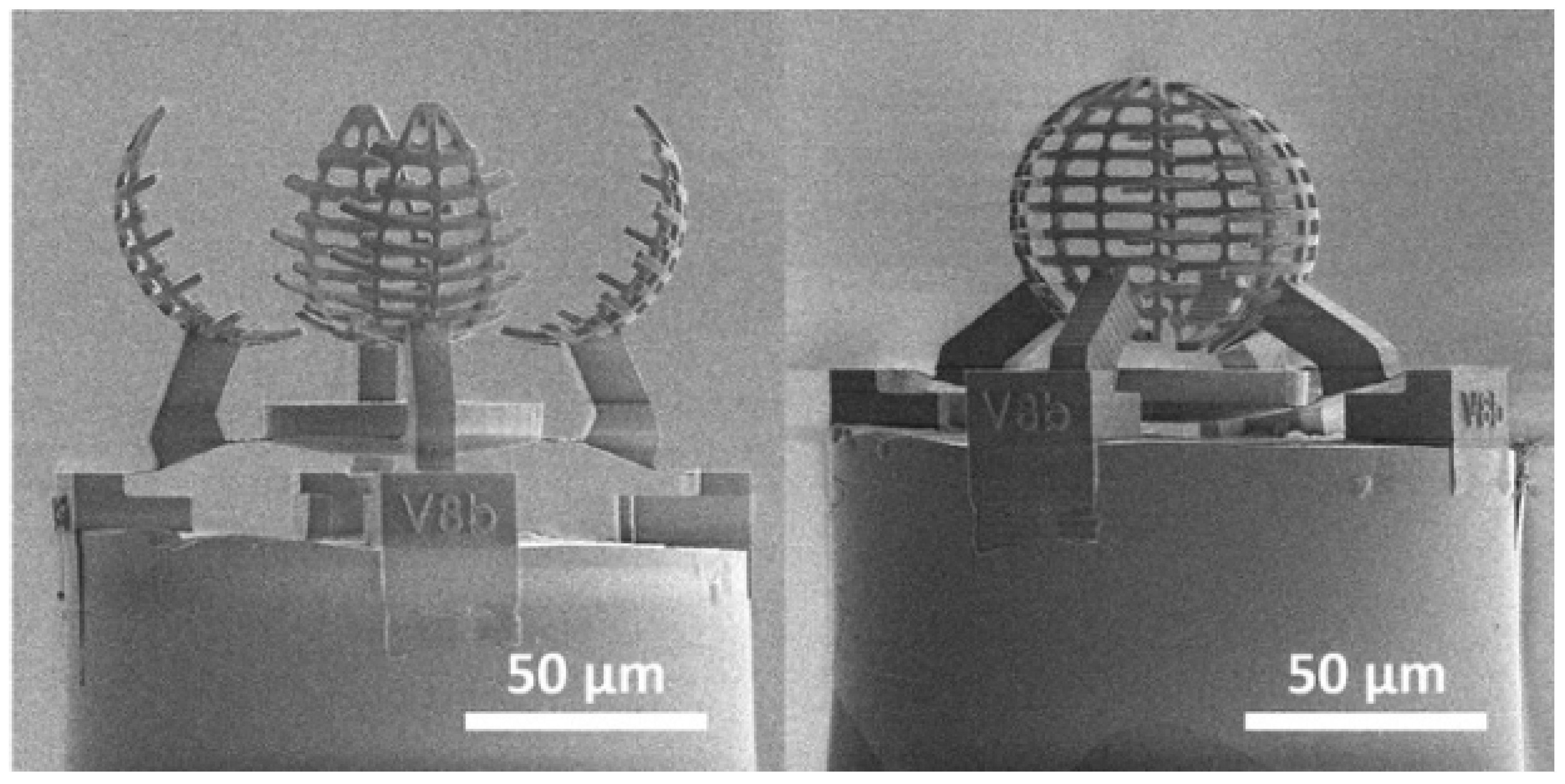 Advancements in Two-Photon Polymerization (2PP) for Micro and Nanoscale ...
