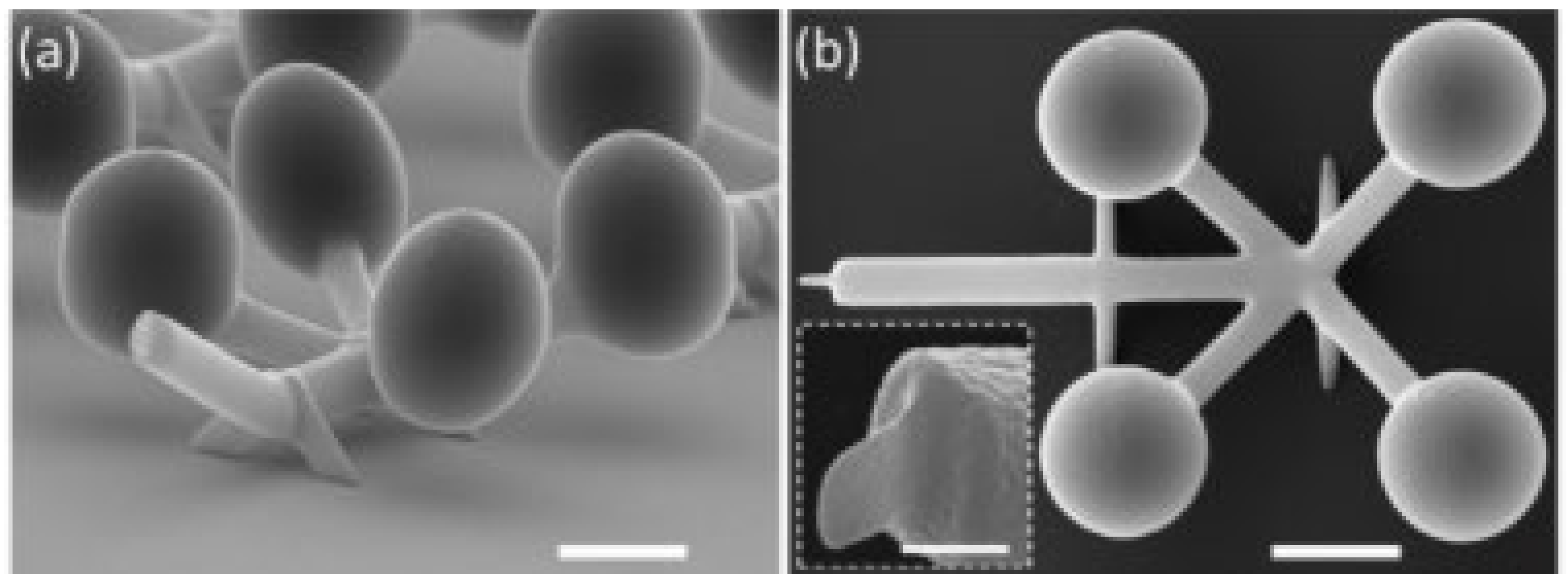 Advancements in Two-Photon Polymerization (2PP) for Micro and Nanoscale ...