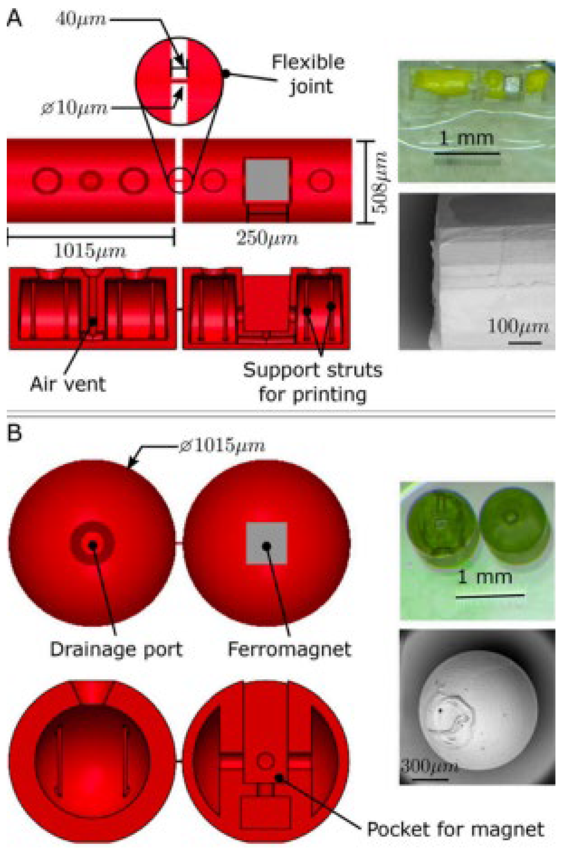 Advancements in Two-Photon Polymerization (2PP) for Micro and Nanoscale ...