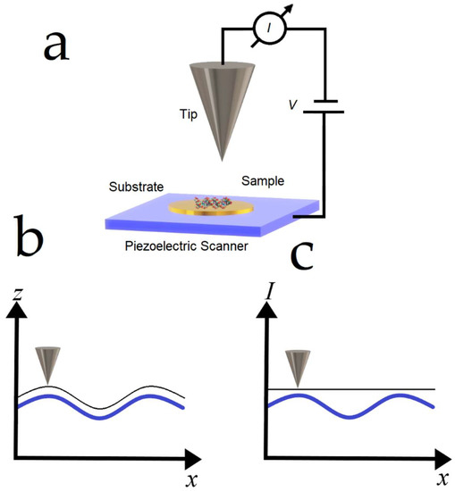 Scanning Tunneling Microscopy of Biological Structures: An Elusive Goal for Many Years