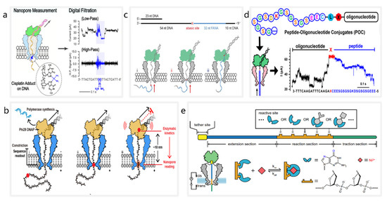 Nanopore Detection Assisted DNA Information Processing