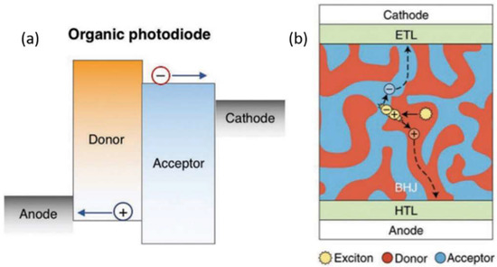 Advances in Flexible Organic Photodetectors: Materials and Applications