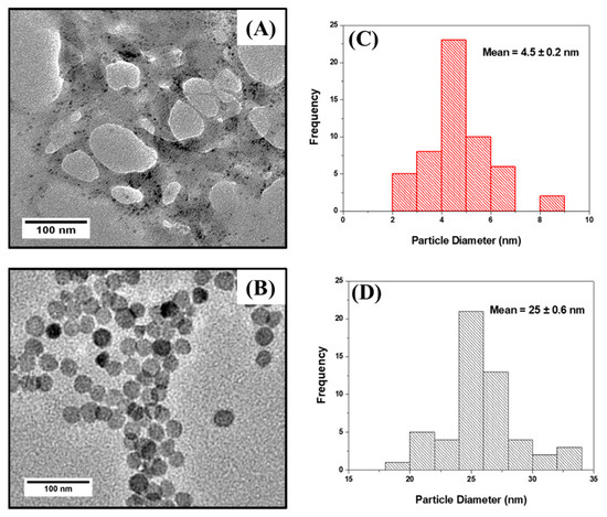 Synthesis, Characterization, and Electrochemical Evaluation of Copper ...